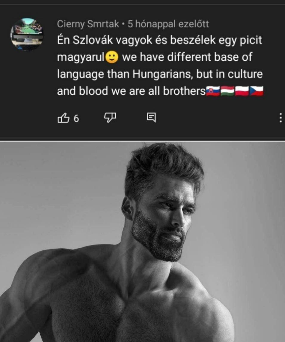 You dropped this 👑 | Scrolller