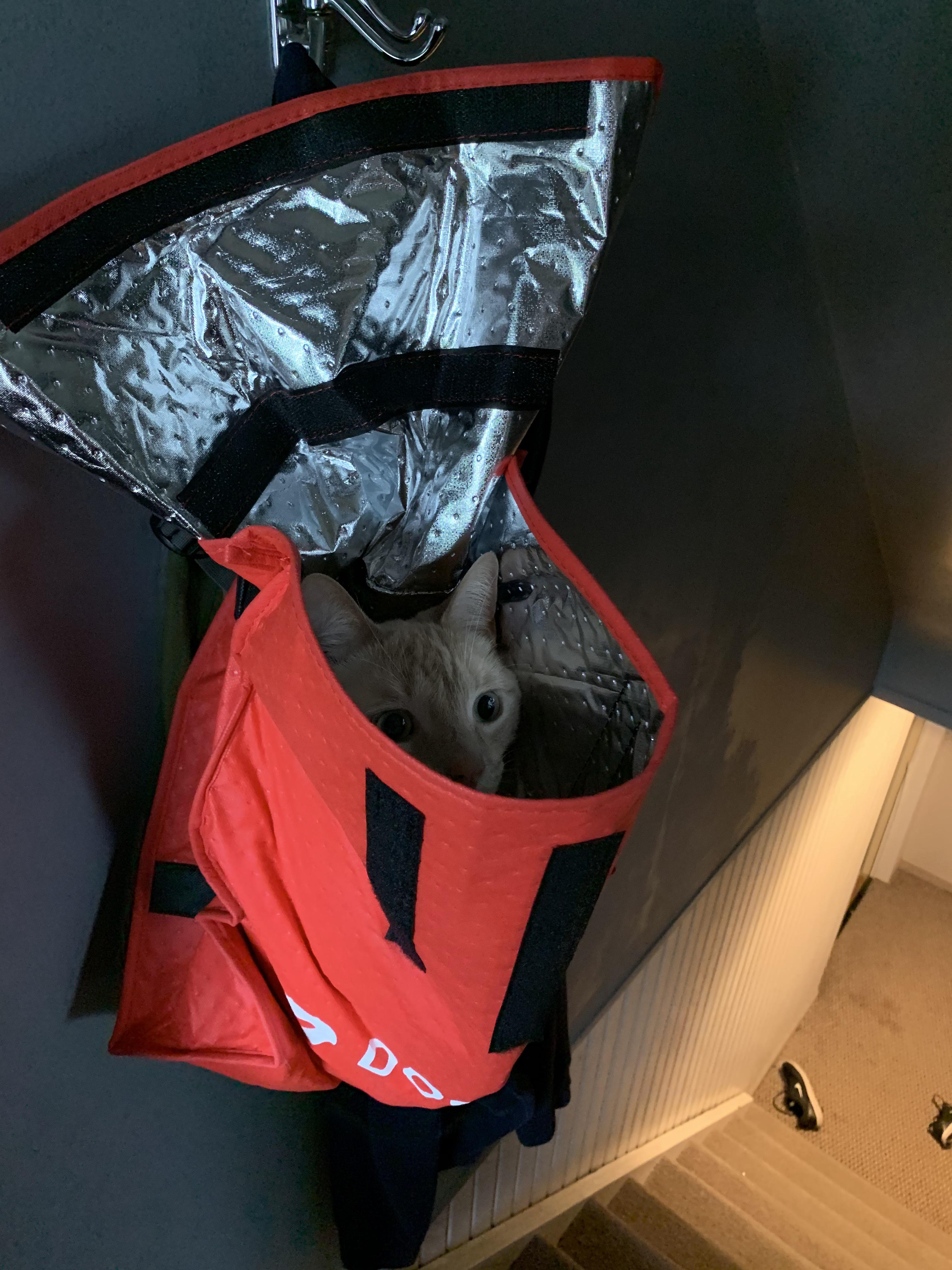 You order a doordash madam? | Scrolller