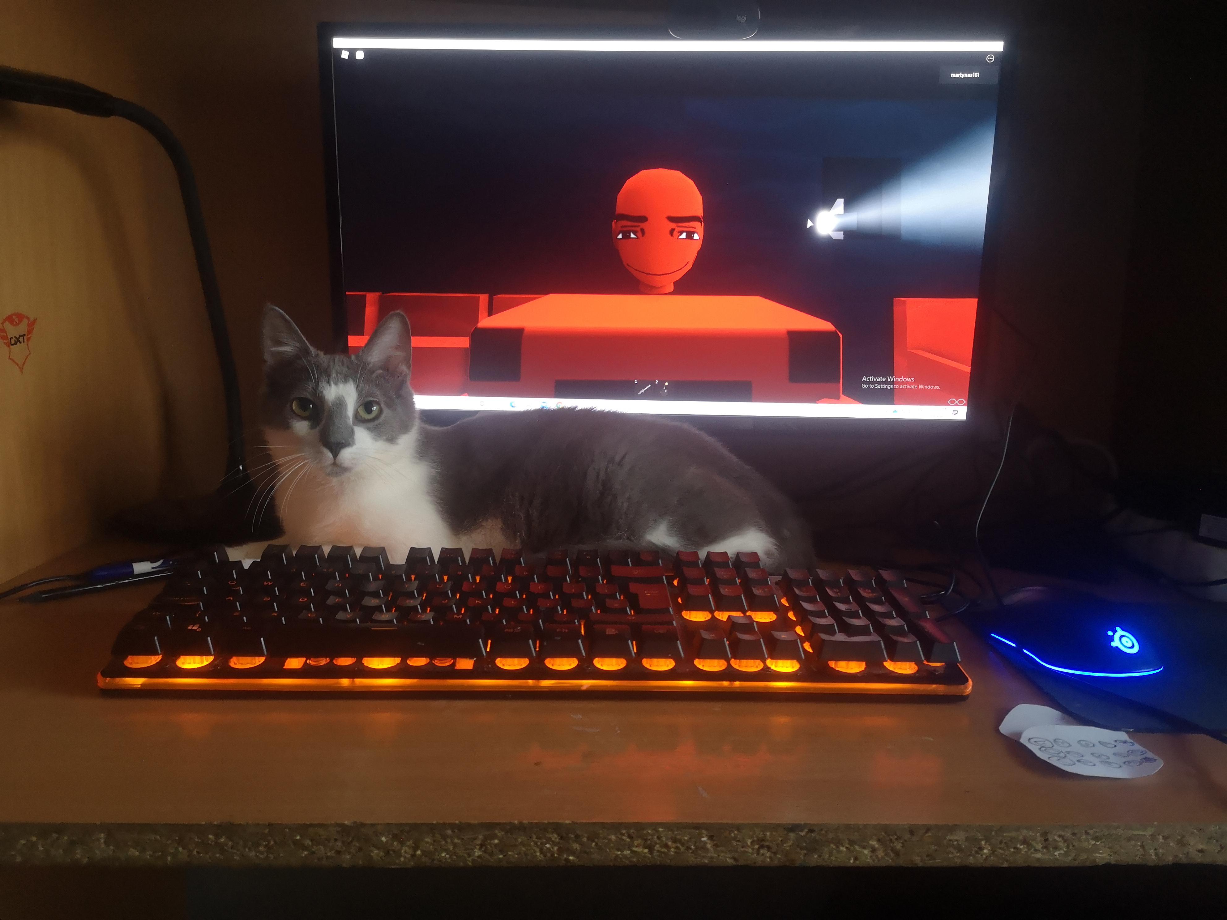 You wanna play some games? | Scrolller