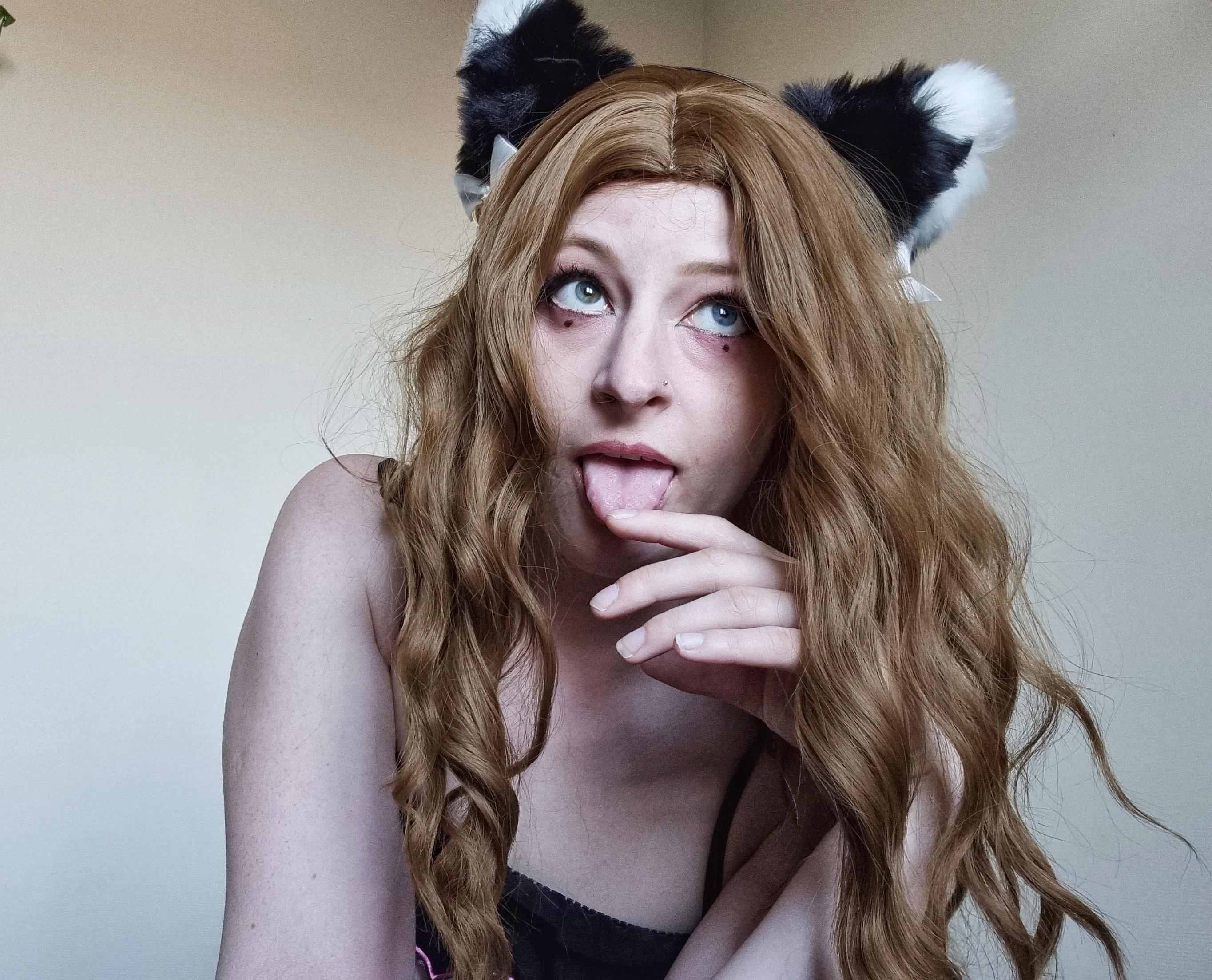Your belgian kitty [f] | Scrolller
