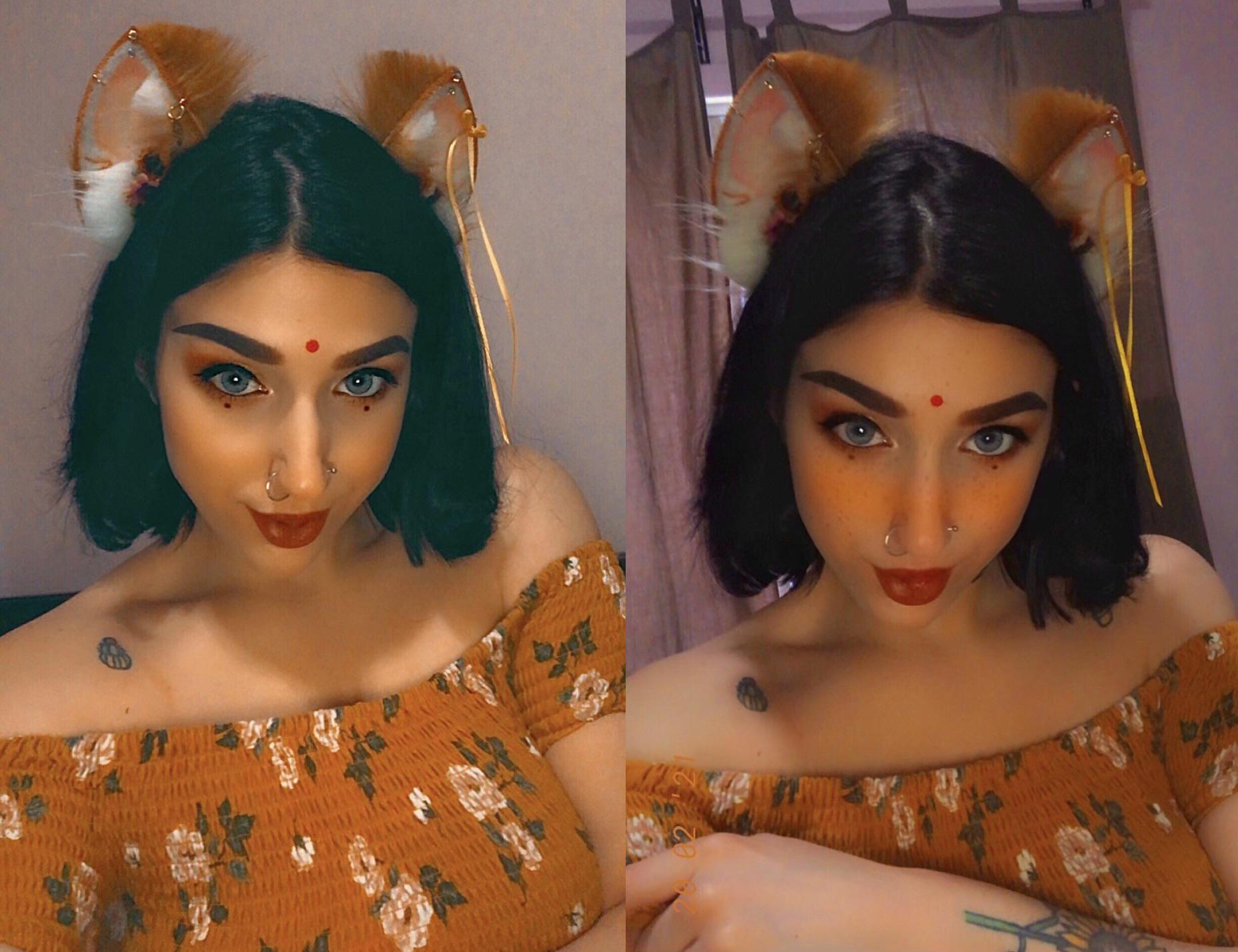 your lil sunflower kitty is spring-ready uwu🌻💛 | Scrolller