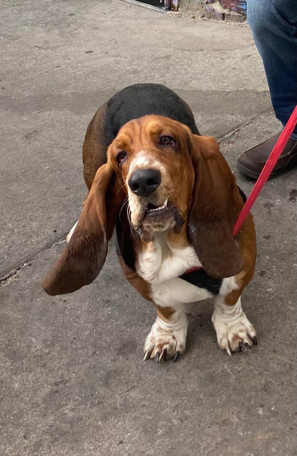 Your Majesty | Scrolller