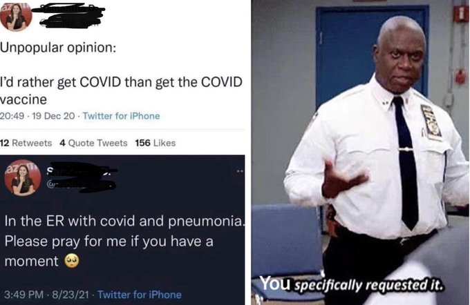 Your wish has been granted | Scrolller