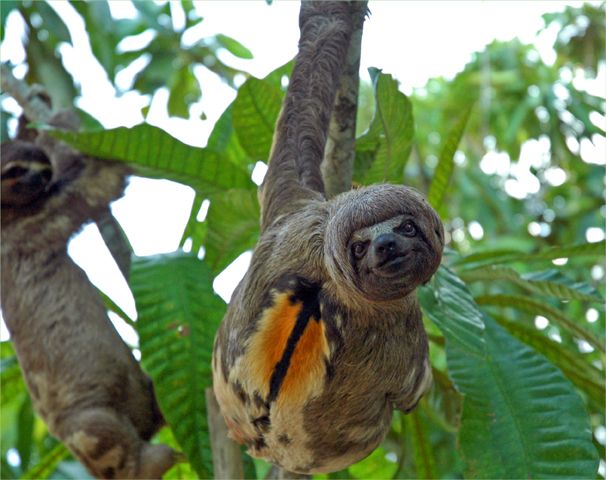 you're interrupting our date! | Scrolller