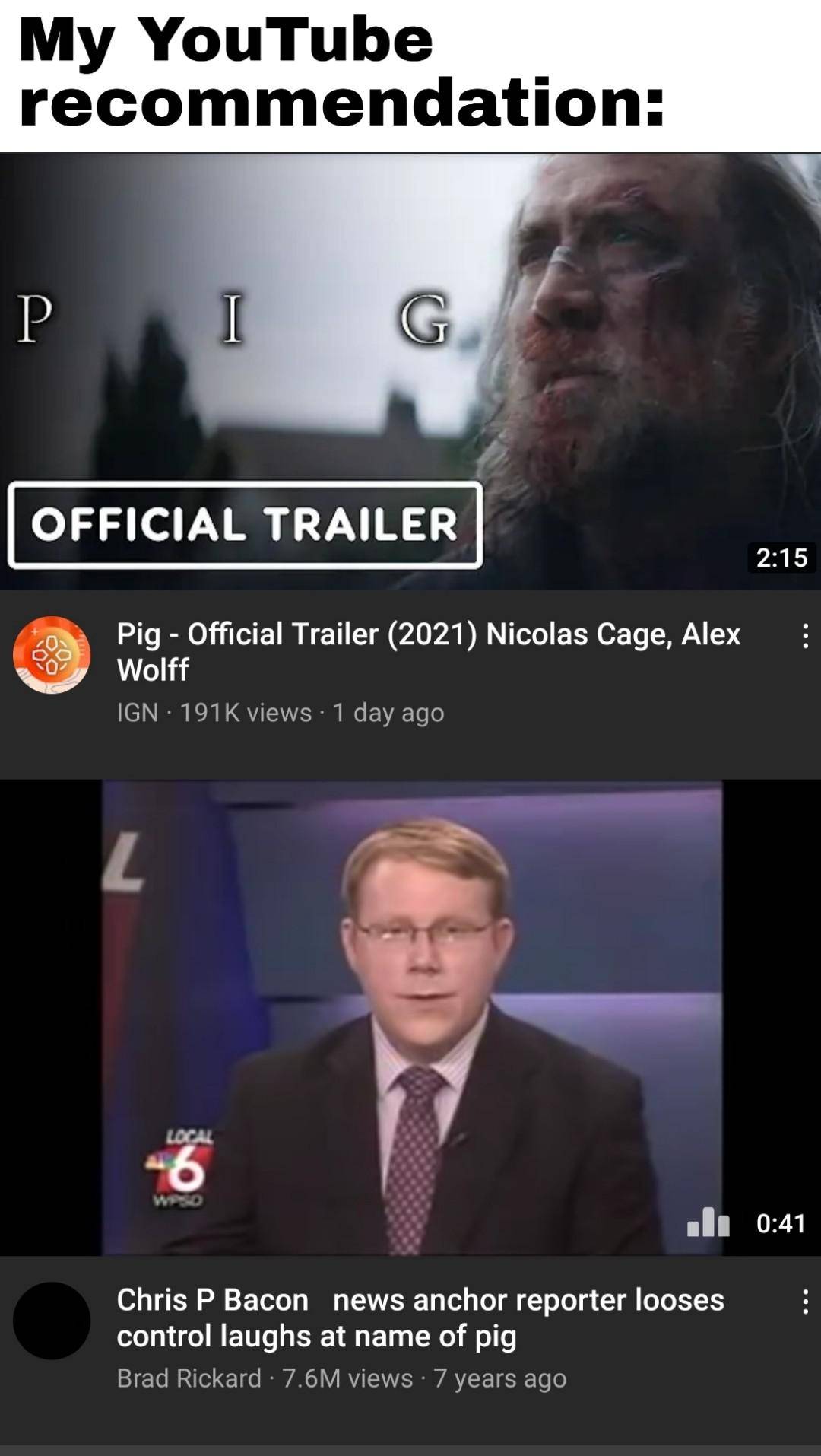 YouTube love pigs | Scrolller