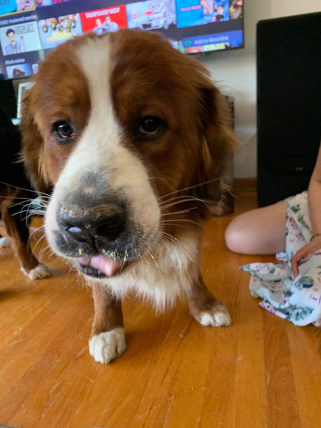 Yummy peanut butter! | Scrolller