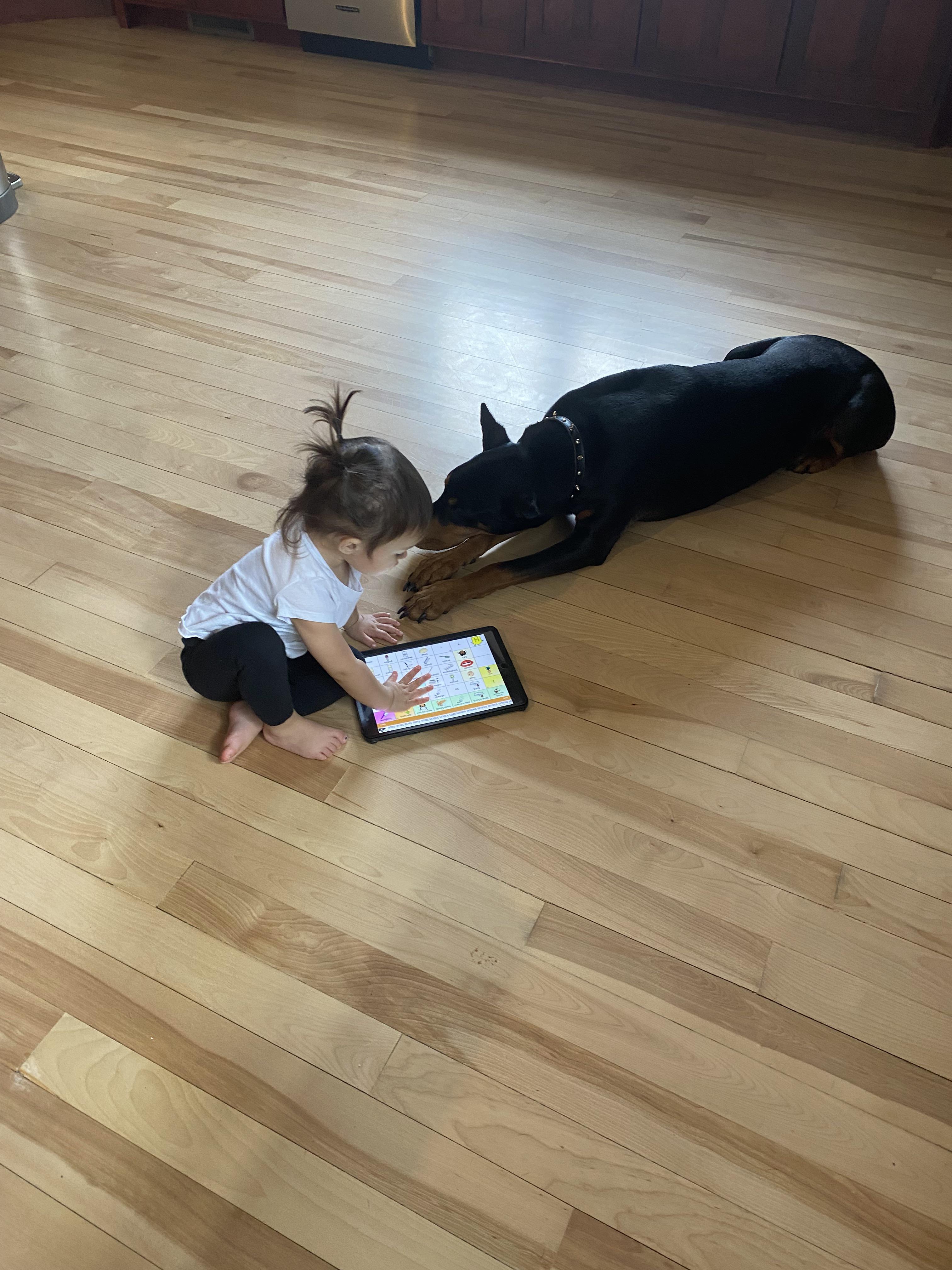 24/7 bodyguard | Scrolller