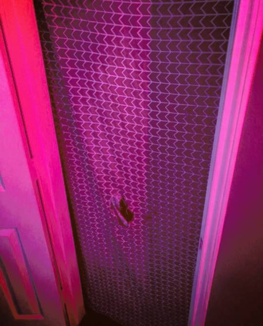 29 Priv Bi Gloryhole (m/f) houston MedCenter area | Scrolller