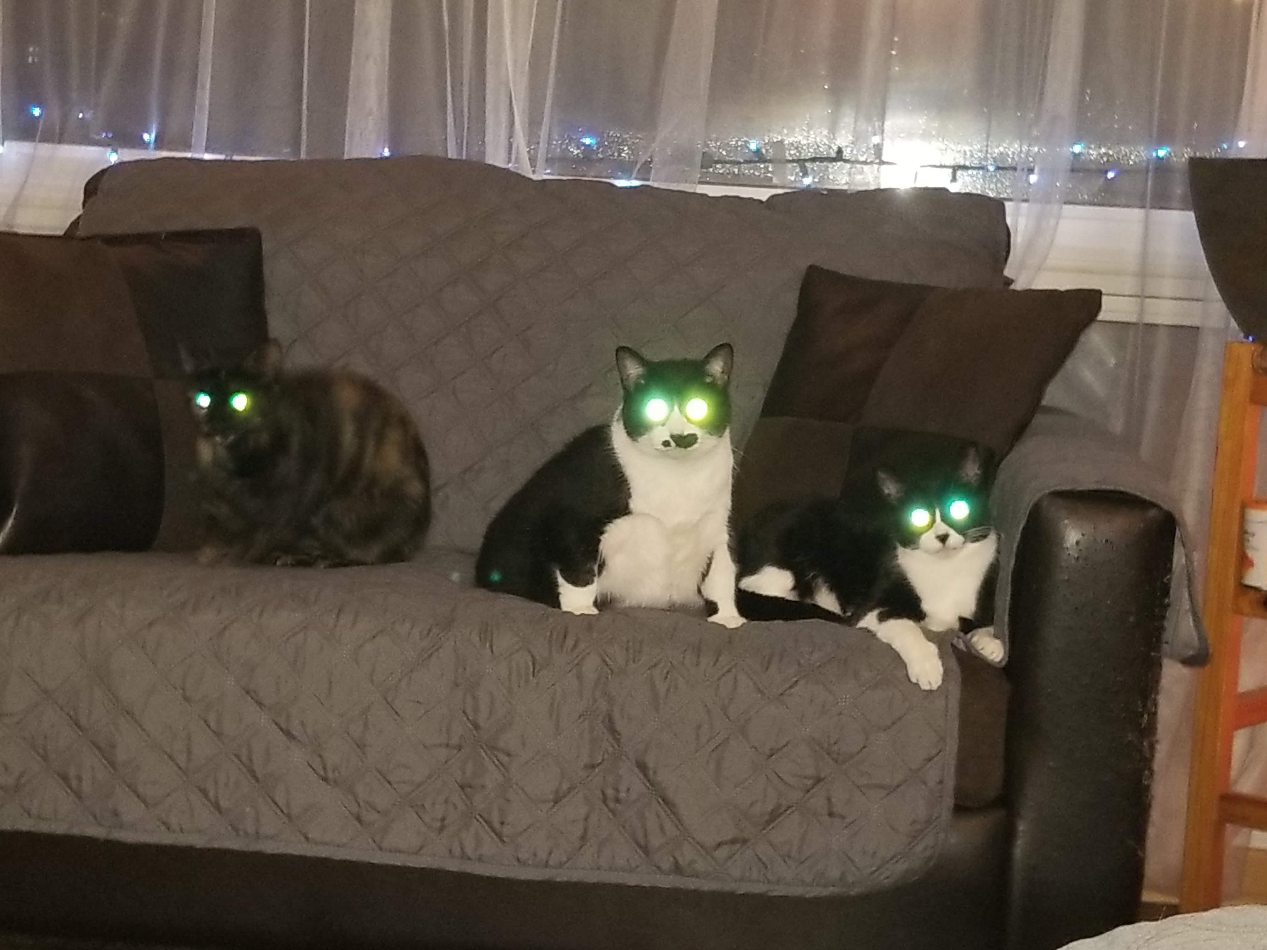 3 lasers | Scrolller