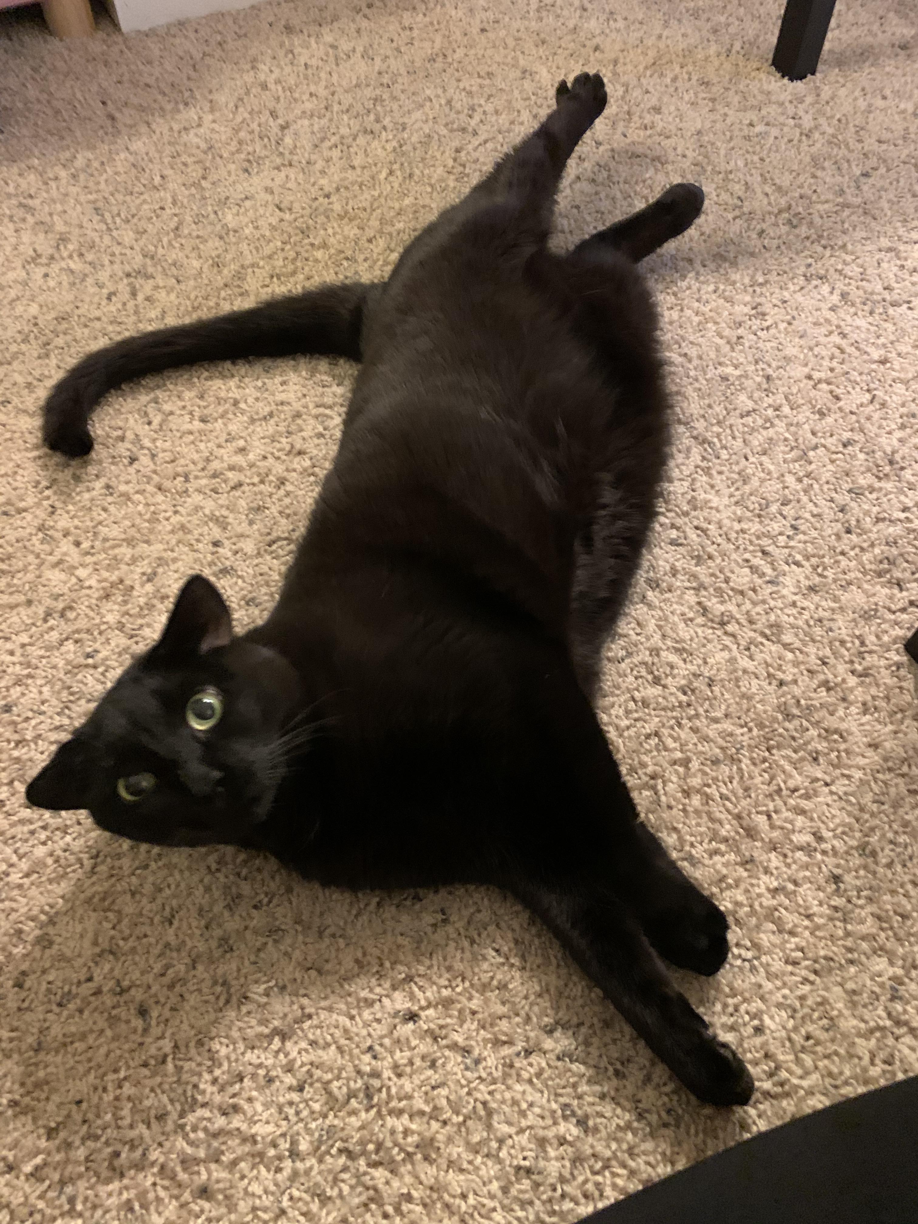 4/4 straightened feetsies. | Scrolller