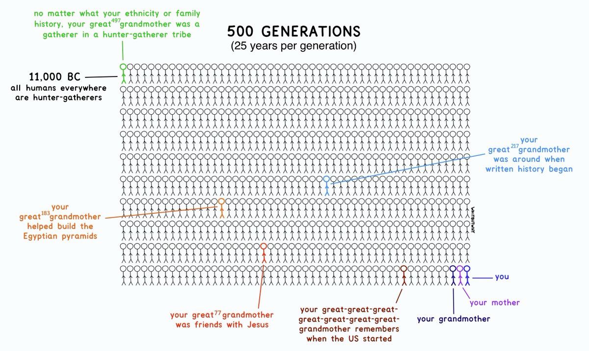 500 Generations | Scrolller