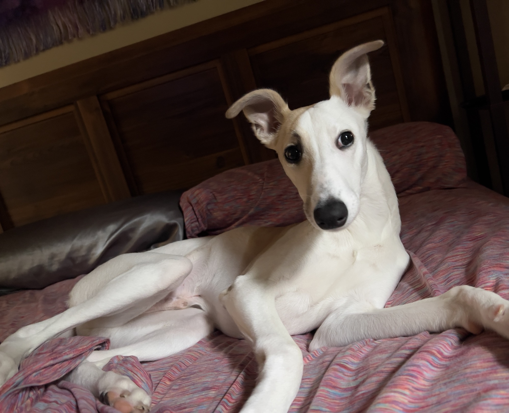 6 months today | Scrolller