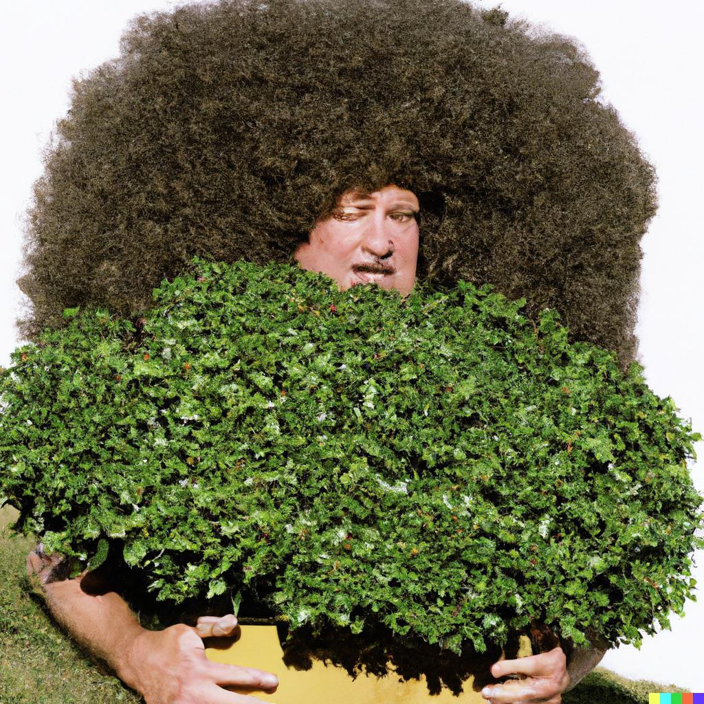 A 1970s Actor With A Huge Bush Scrolller a-1970s-actor-with-a-huge-bush-scrolller