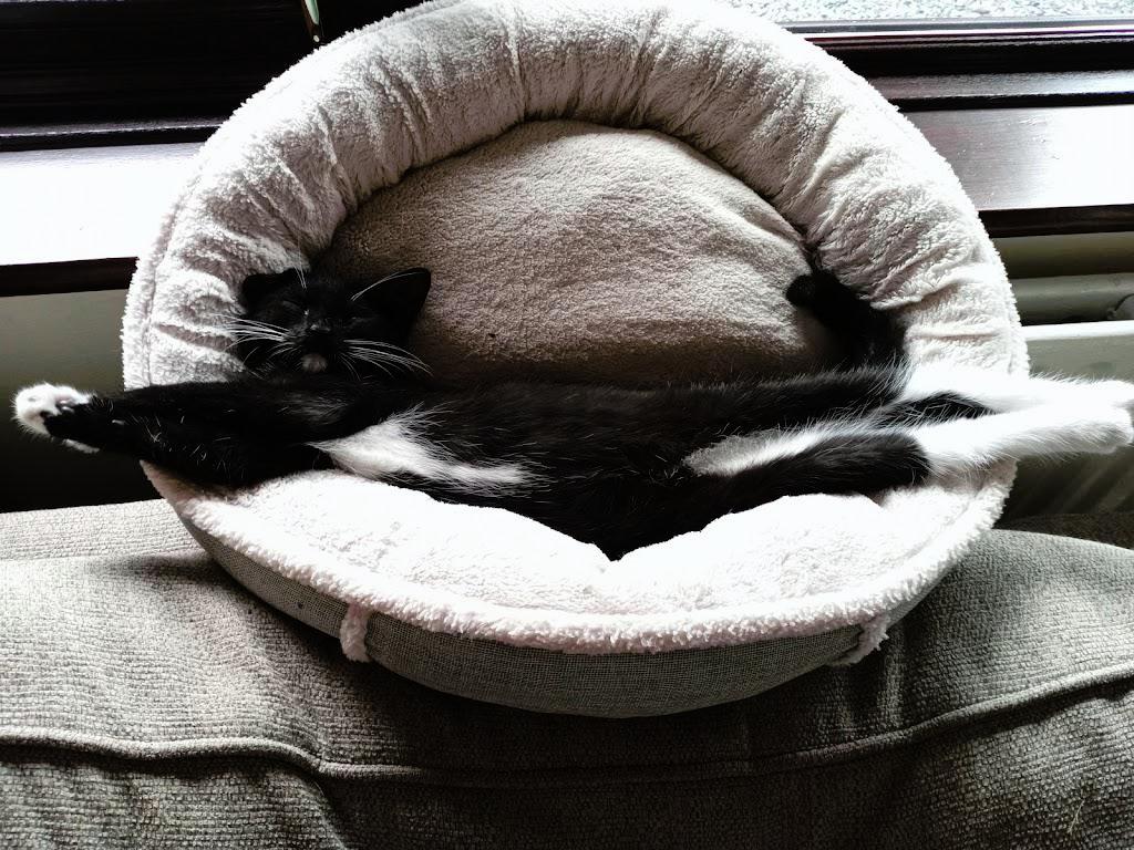 A beginner but giving it her best shot | Scrolller