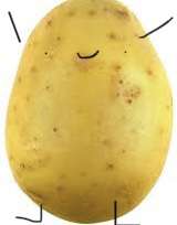 a big potato | Scrolller