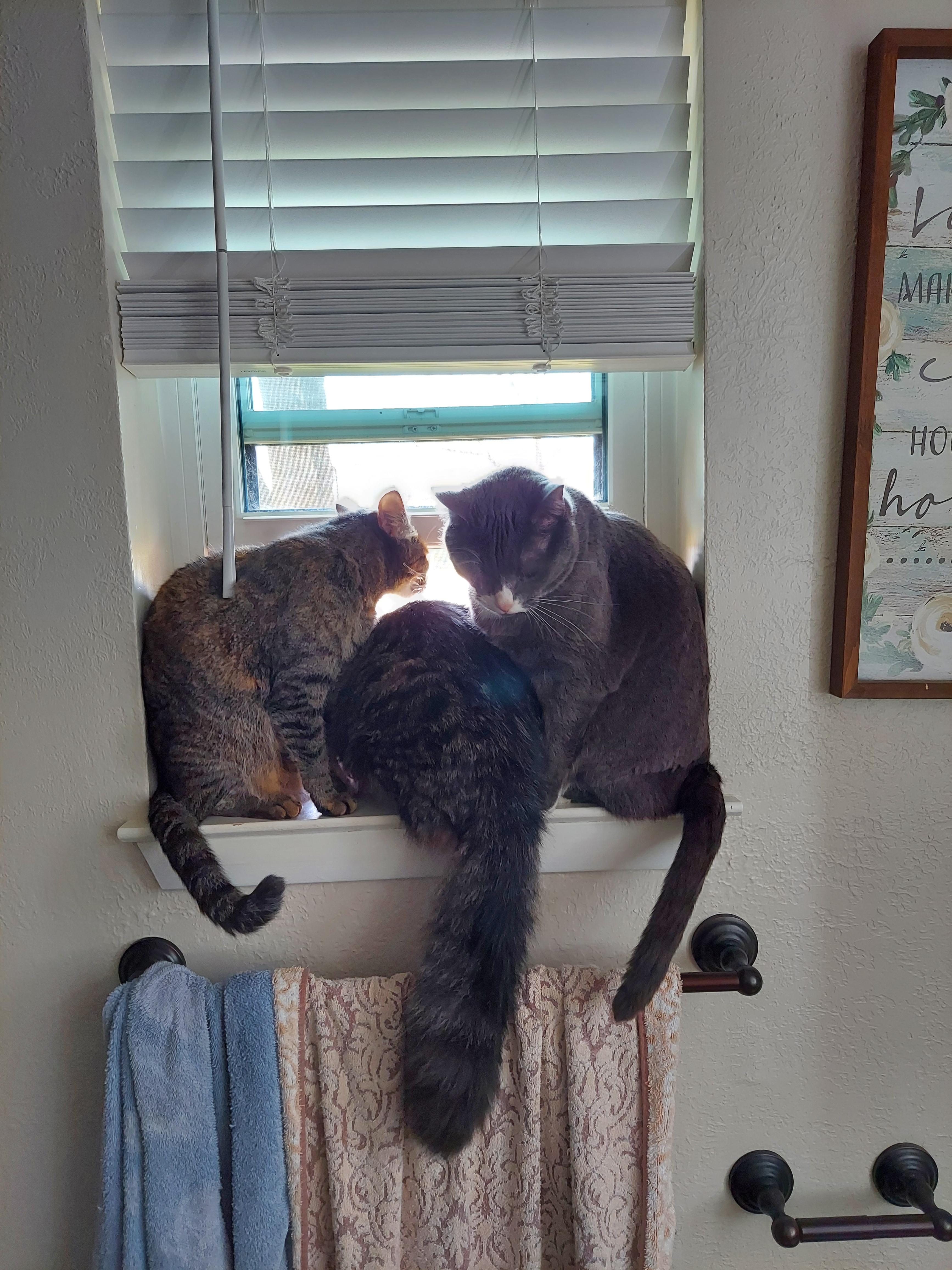 A comparison. | Scrolller