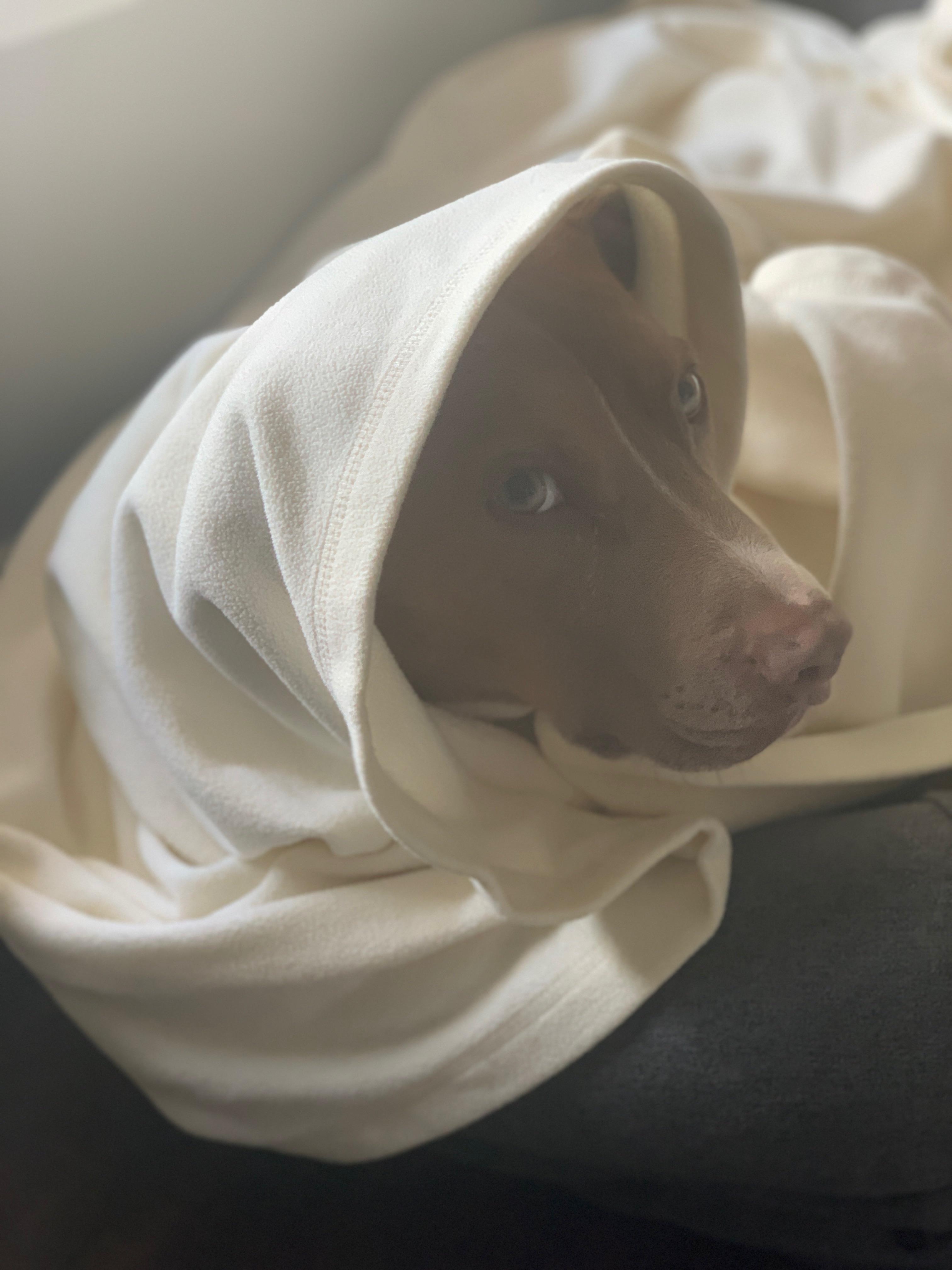 a-Dora-ble Babushka - It’s a lifestyle | Scrolller