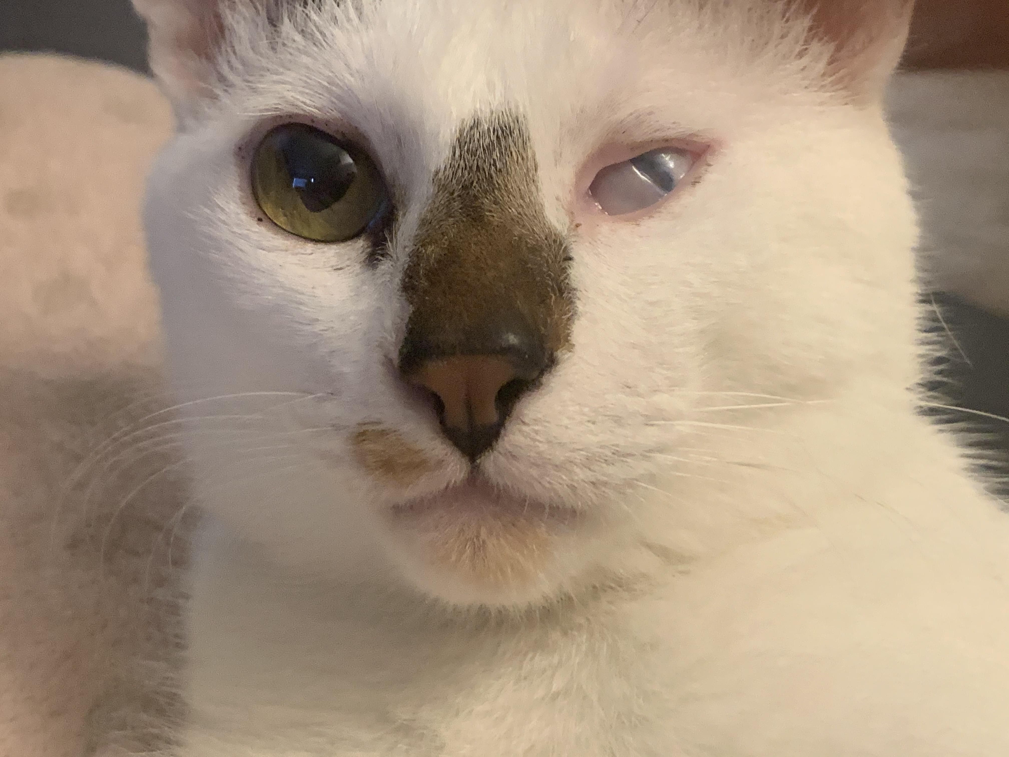 A handsome boi | Scrolller