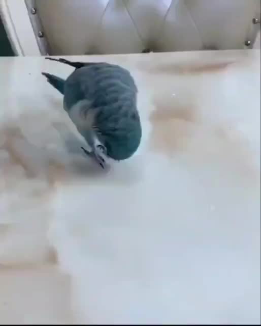 A helping hand ♥️ | Scrolller