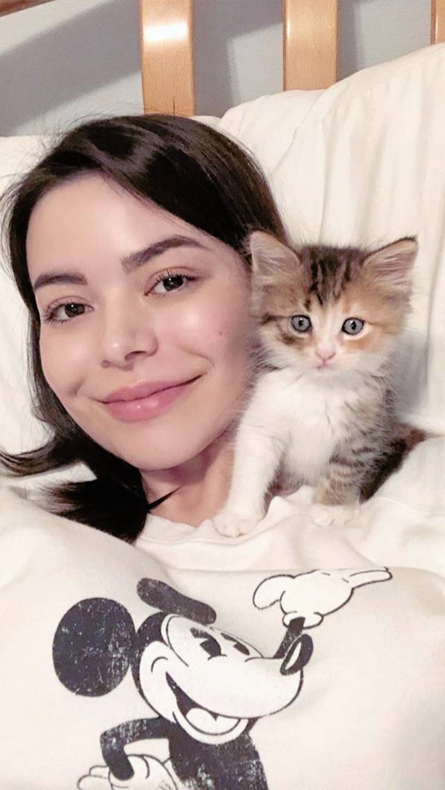 A mouse and a kitten. | Scrolller