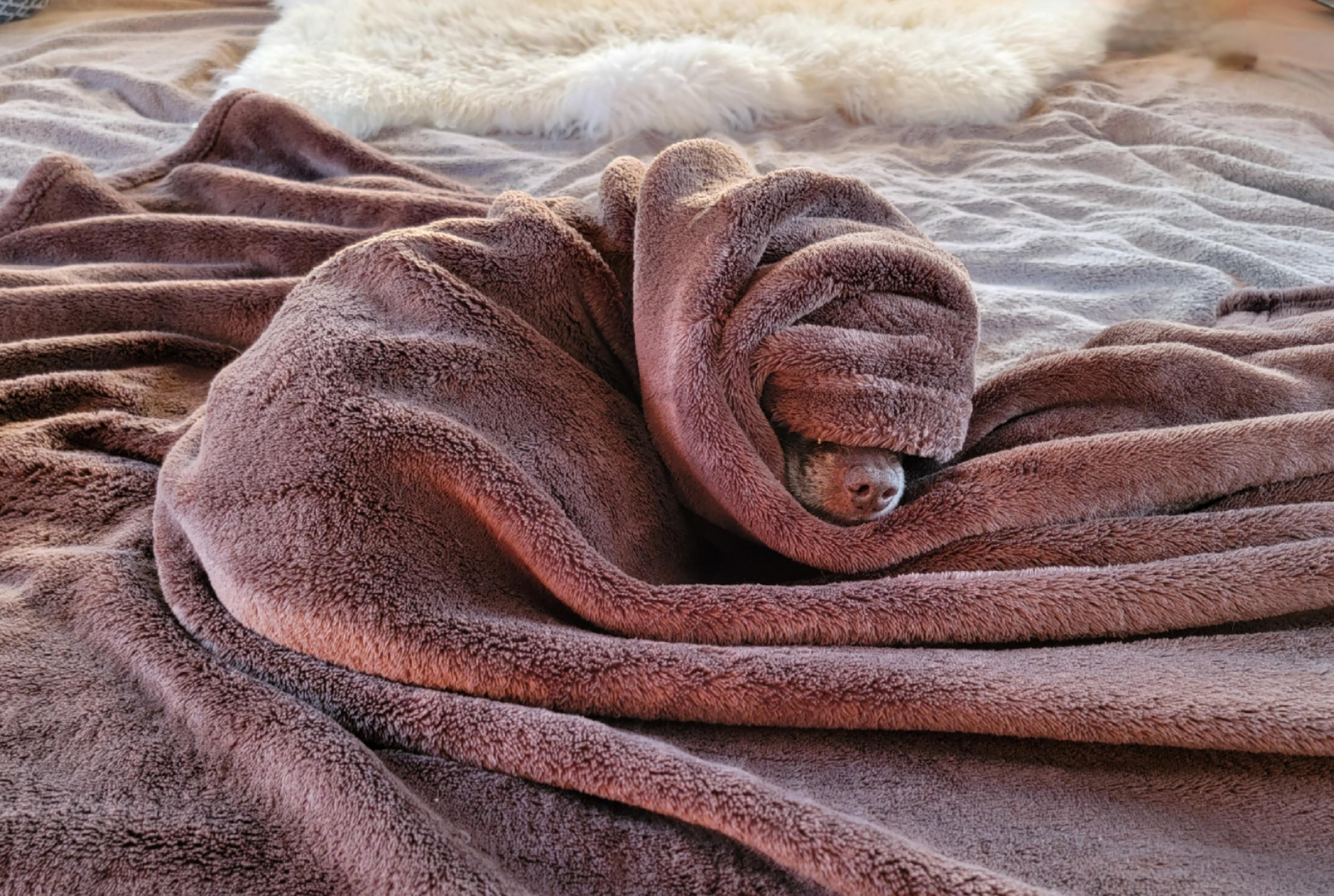 A Perfect Tuck | Scrolller