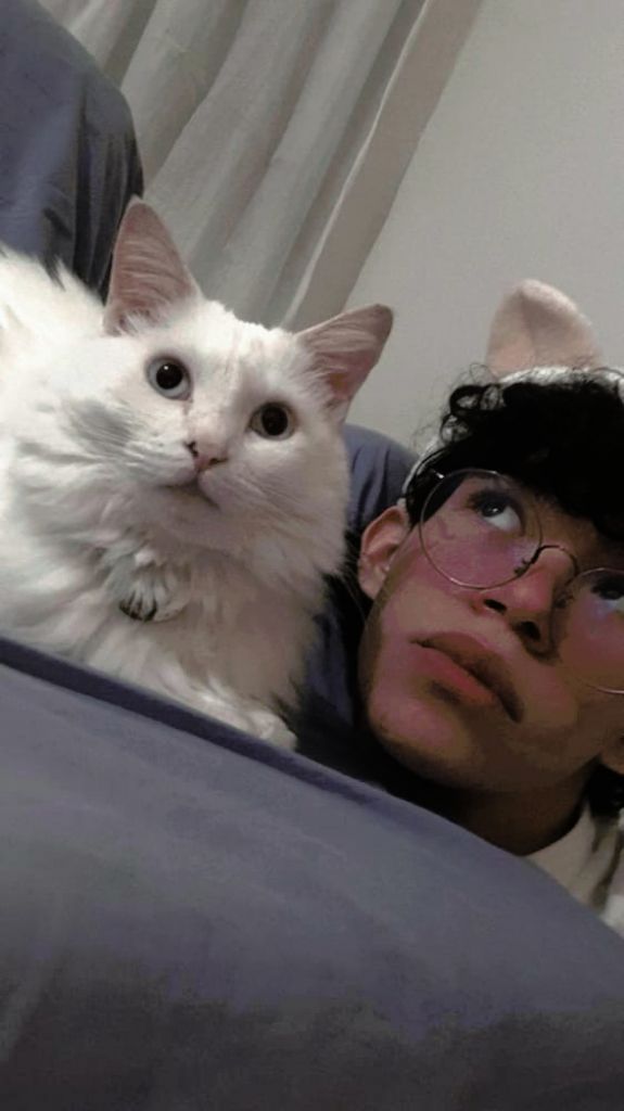 A rare selfie with my kitten I wanna show the world | Scrolller
