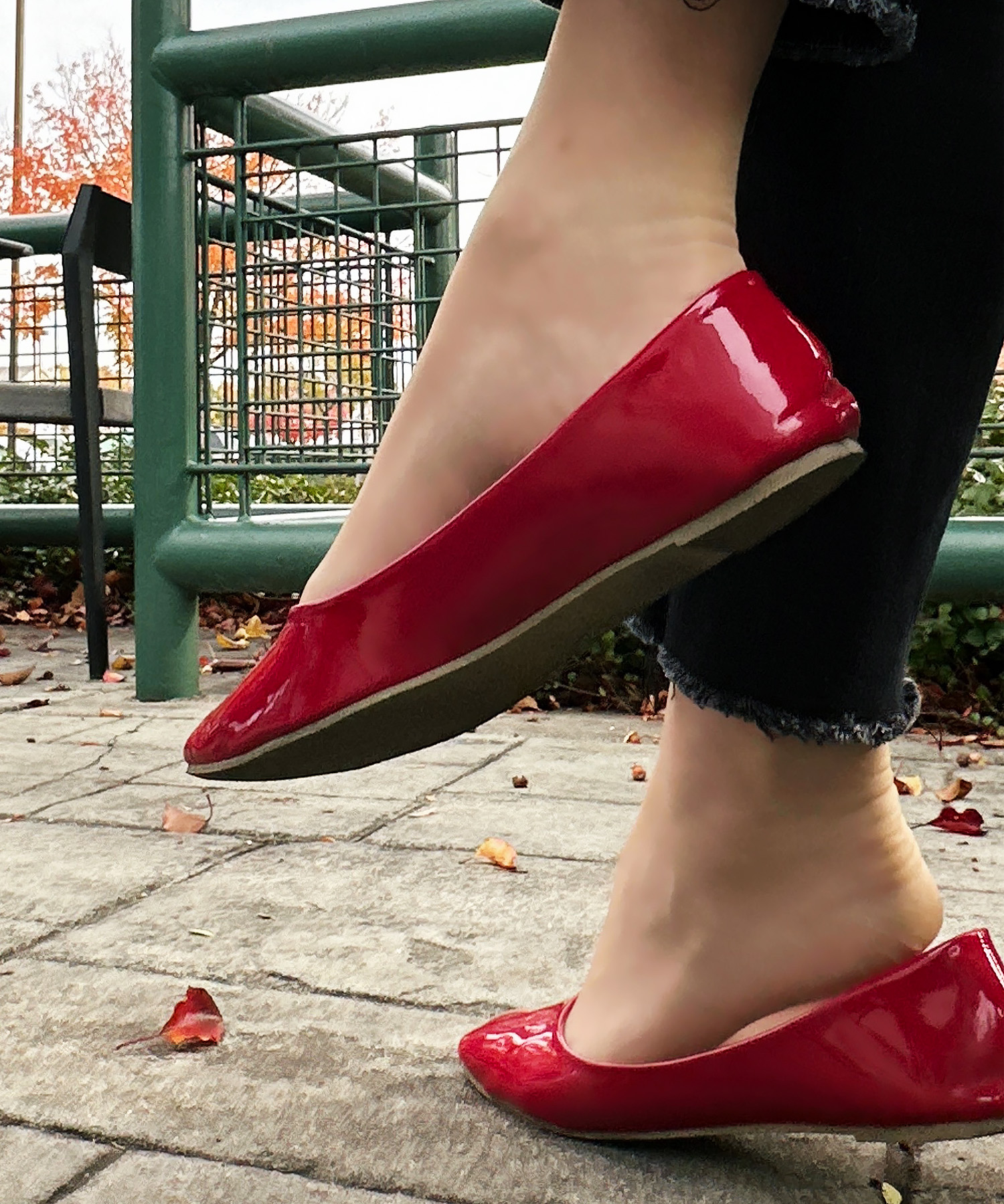 A Red Leaf | Scrolller