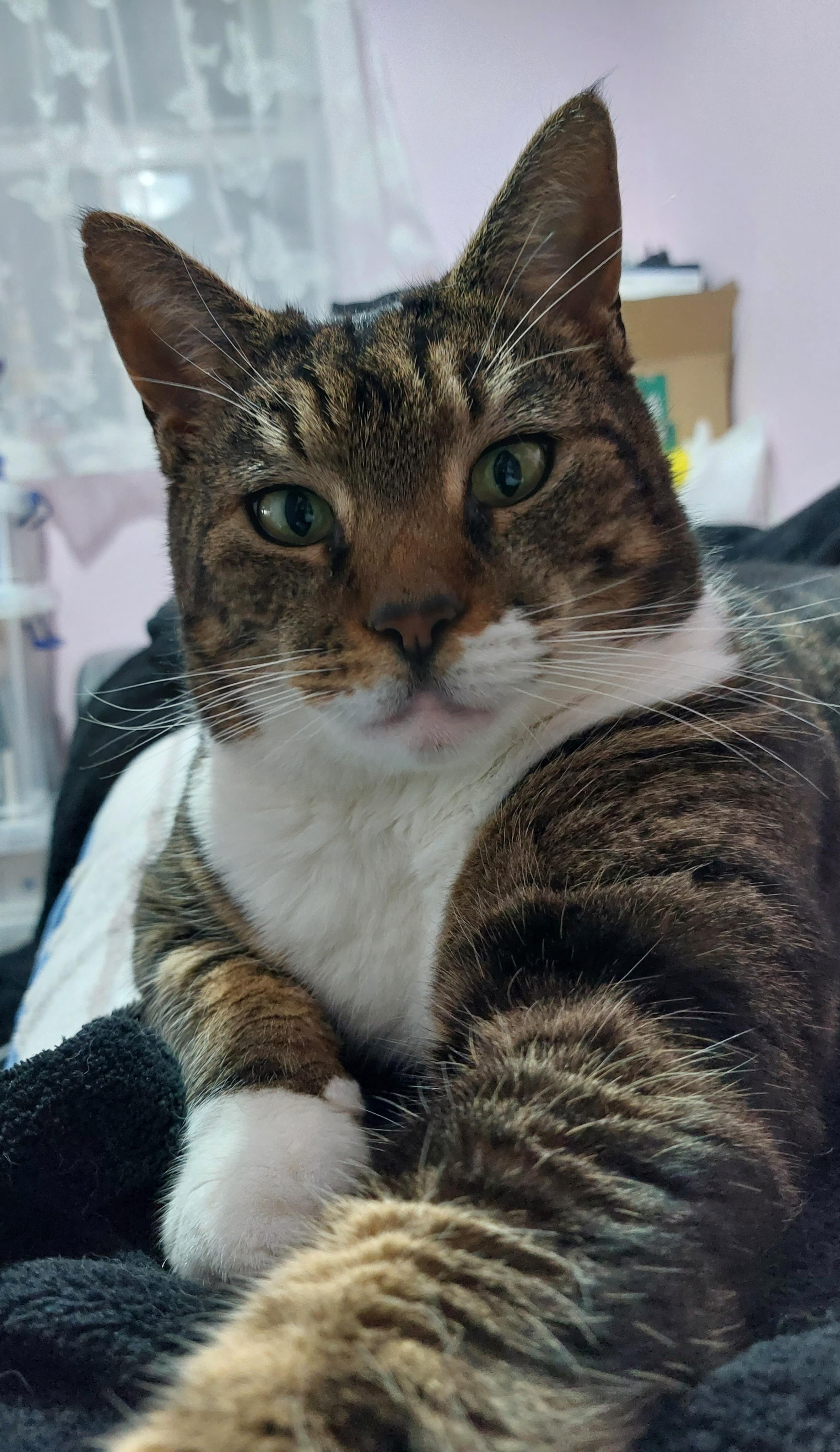 A Selfie from Oliver | Scrolller