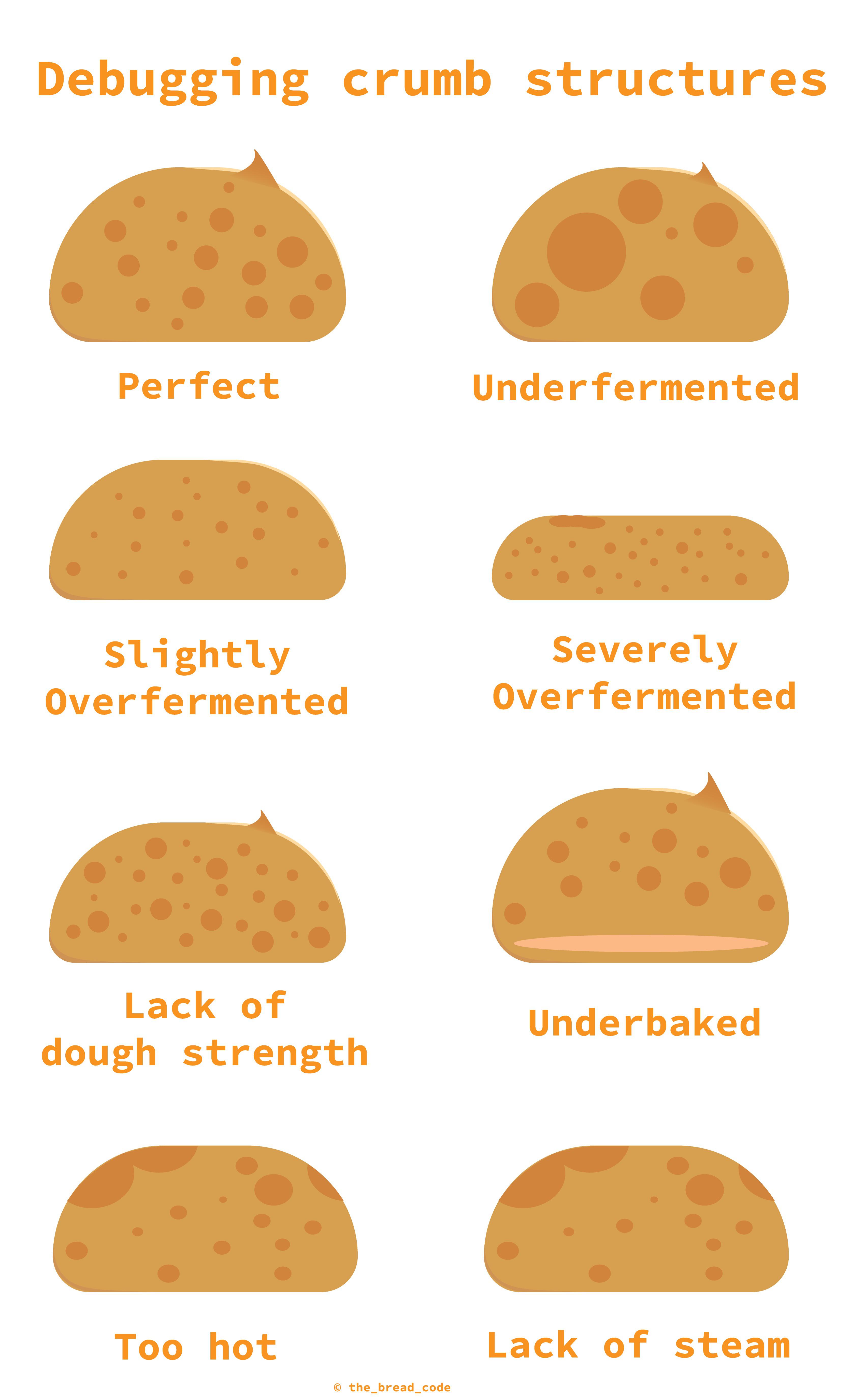 A troubleshooting guide to bread | Scrolller