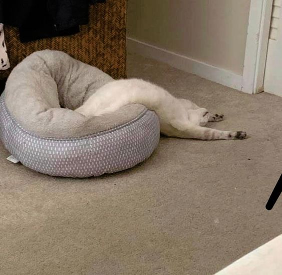 A Worm Scrolller