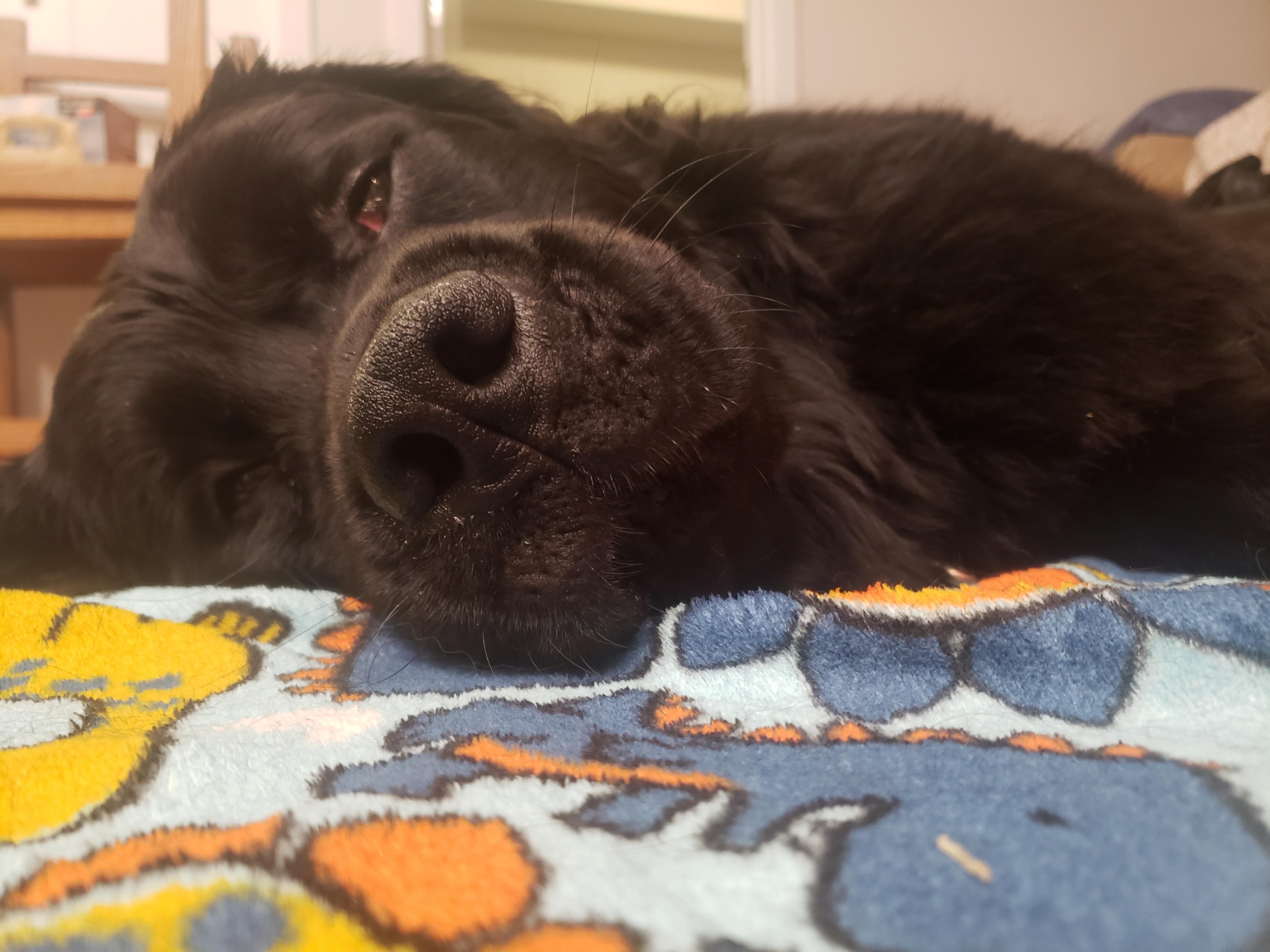 Abi wishes everyone a happy lazy Sunday | Scrolller