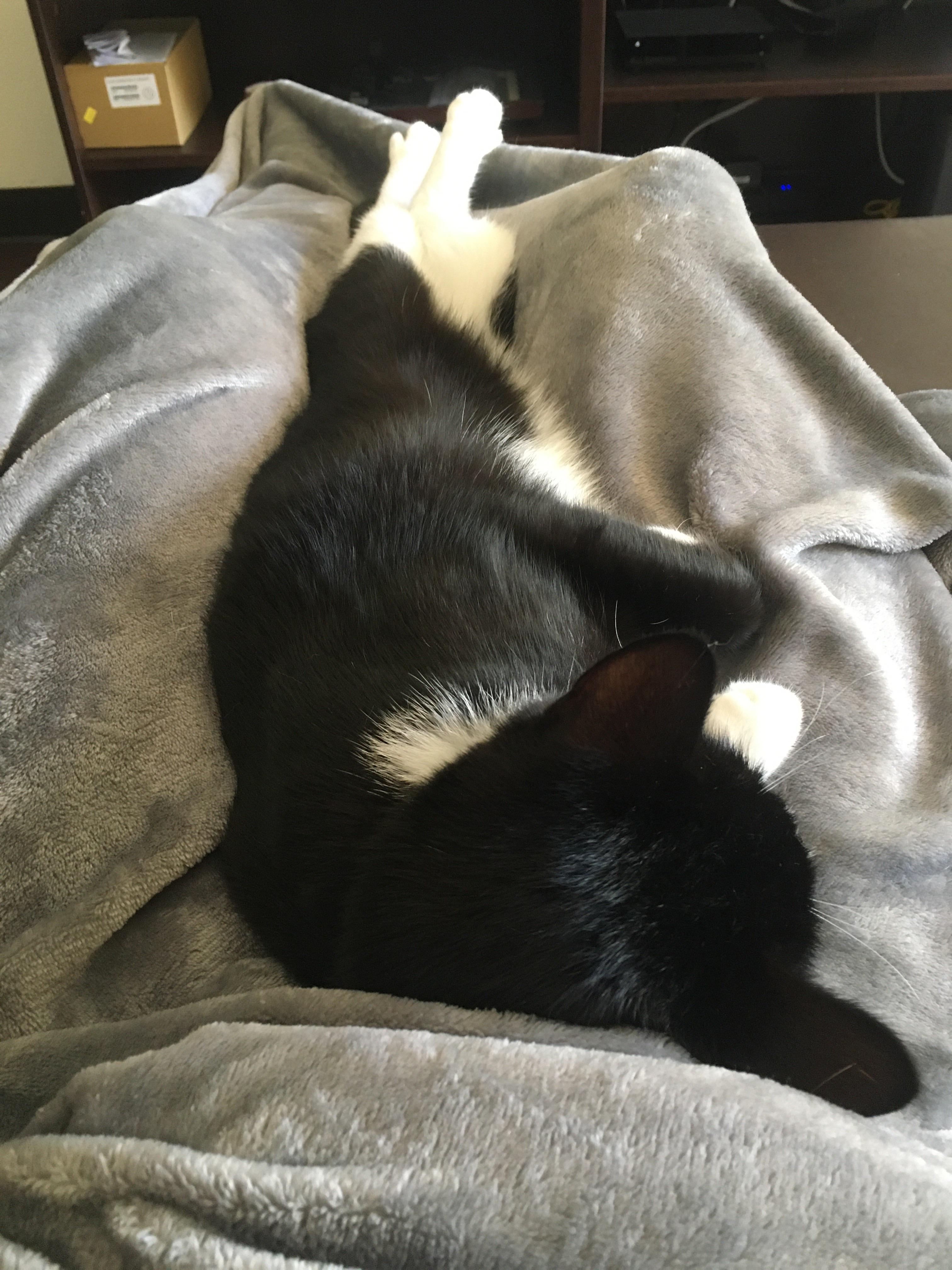 Admire her length. | Scrolller