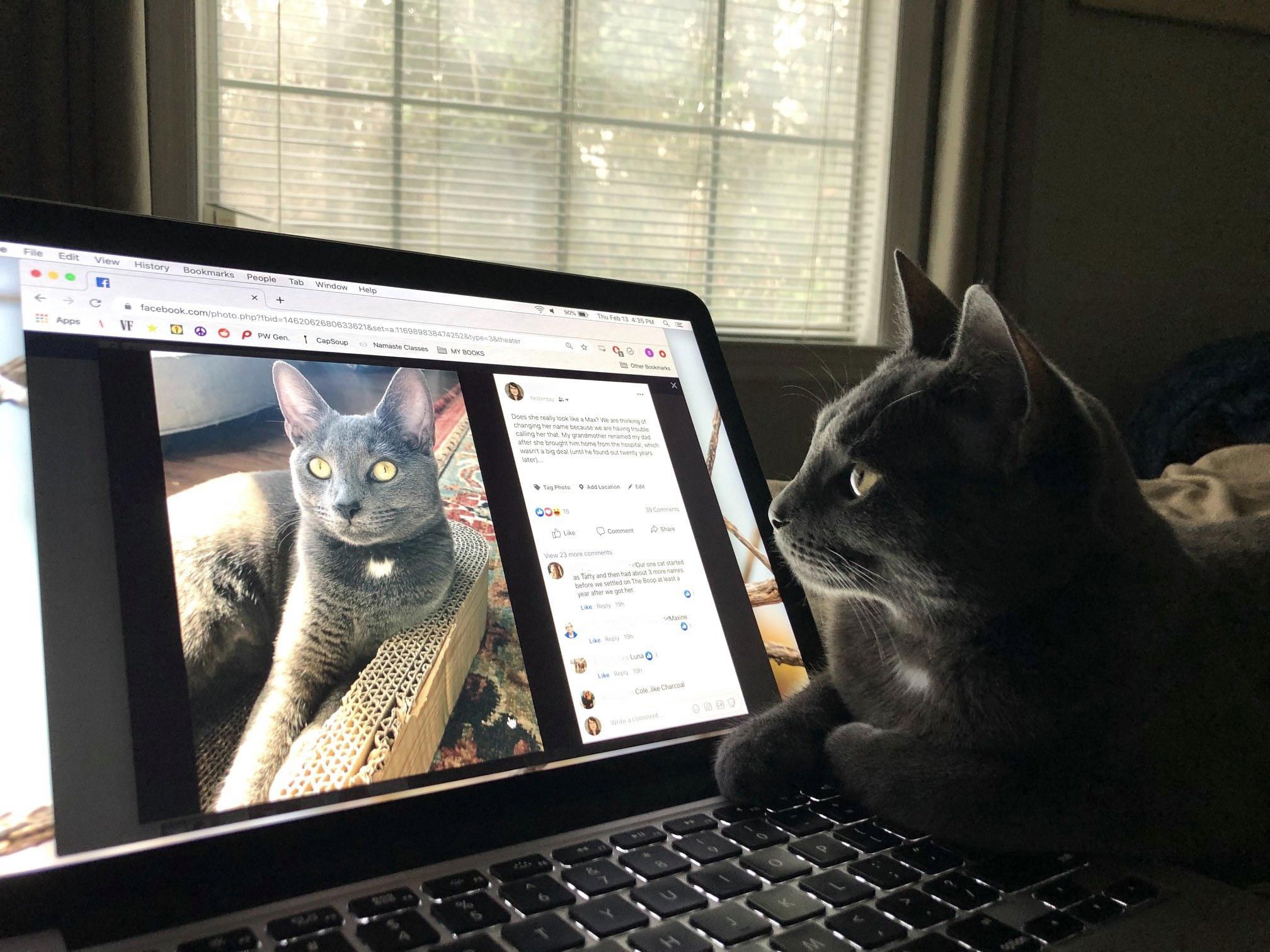 Admiring herself on Facebook. | Scrolller