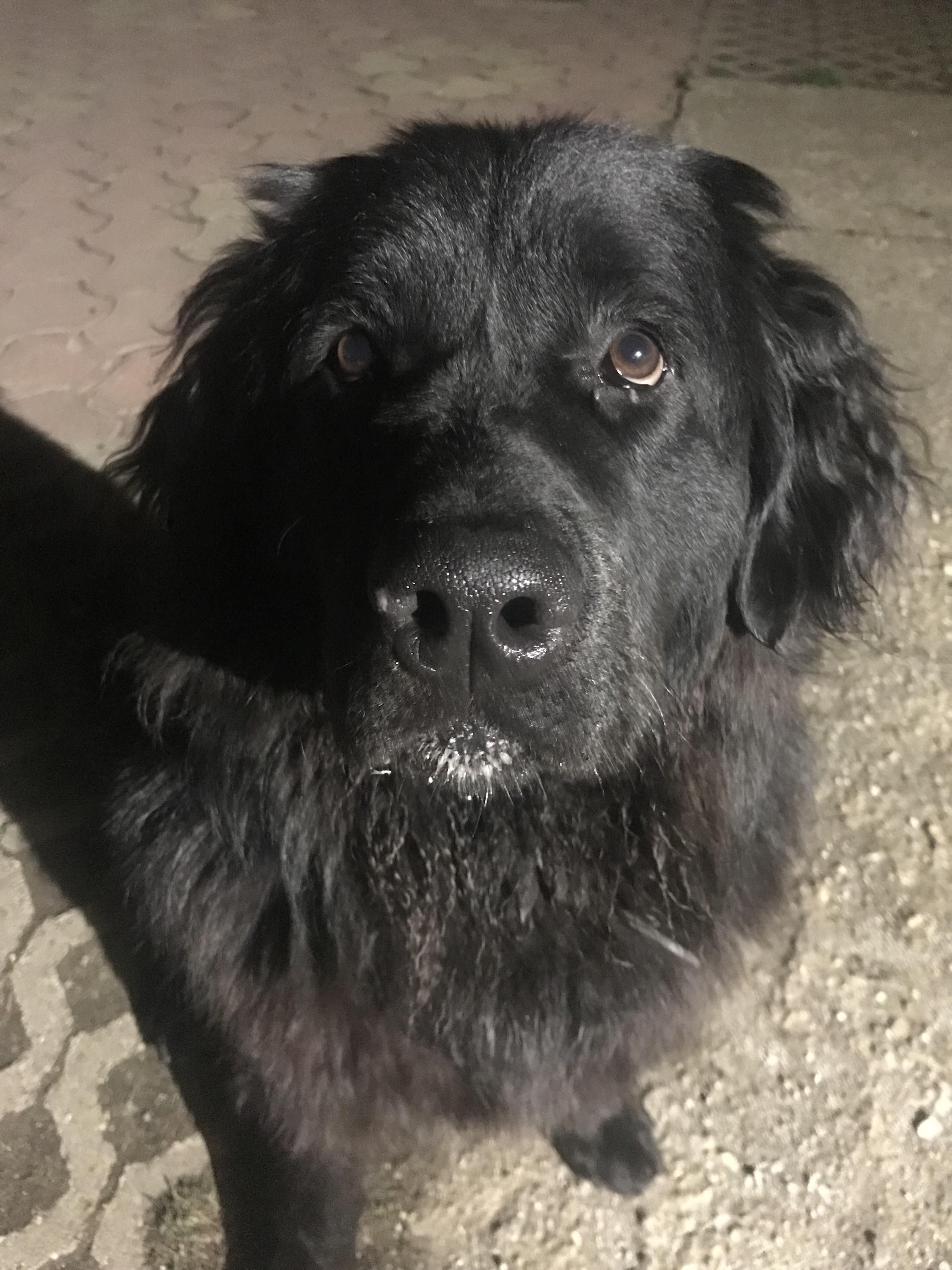 After dinner | Scrolller