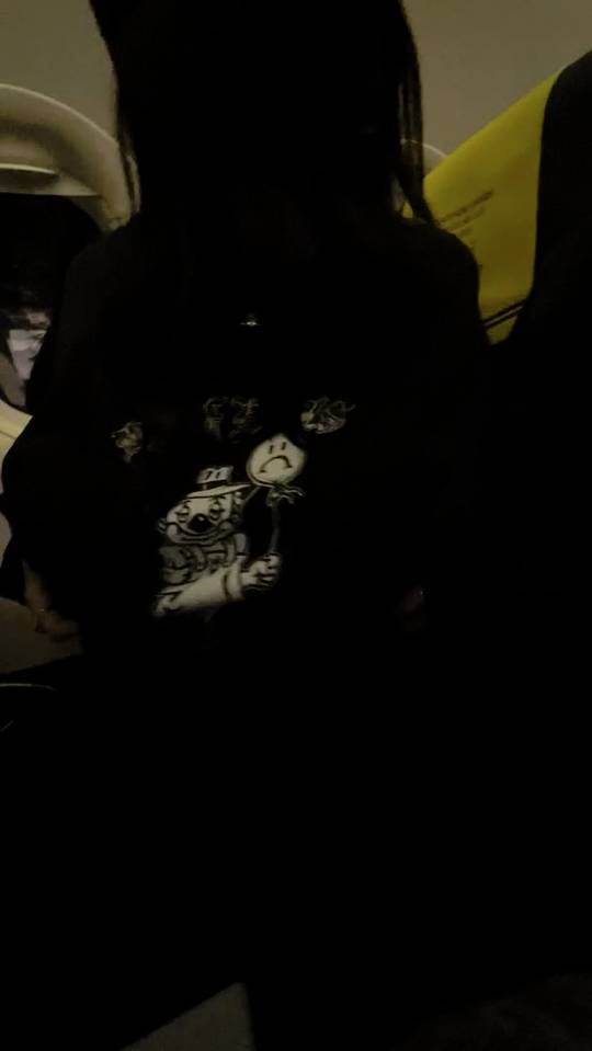 Airplane Flashing Public | Scrolller