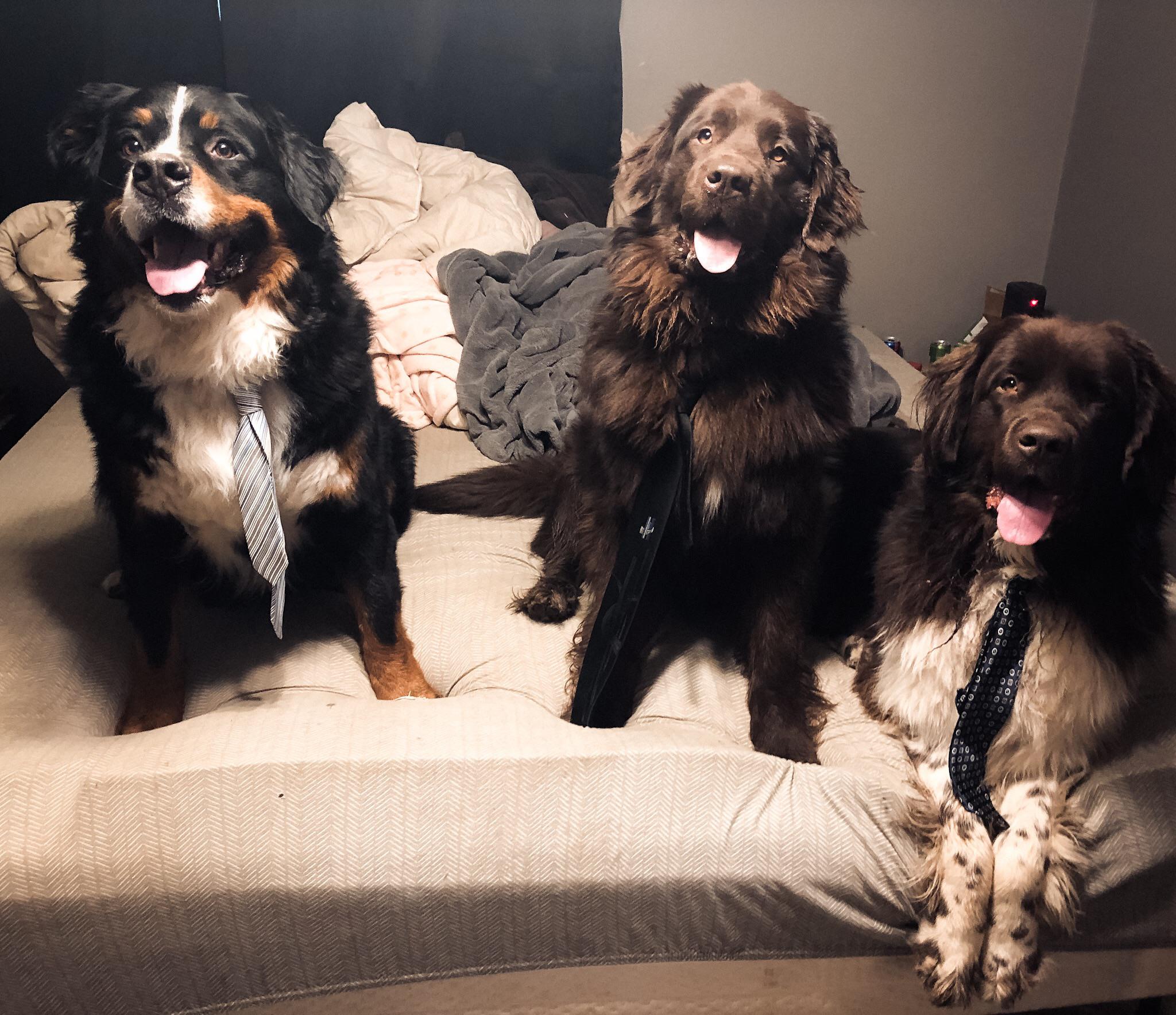 All dressed up and nowhere to go | Scrolller