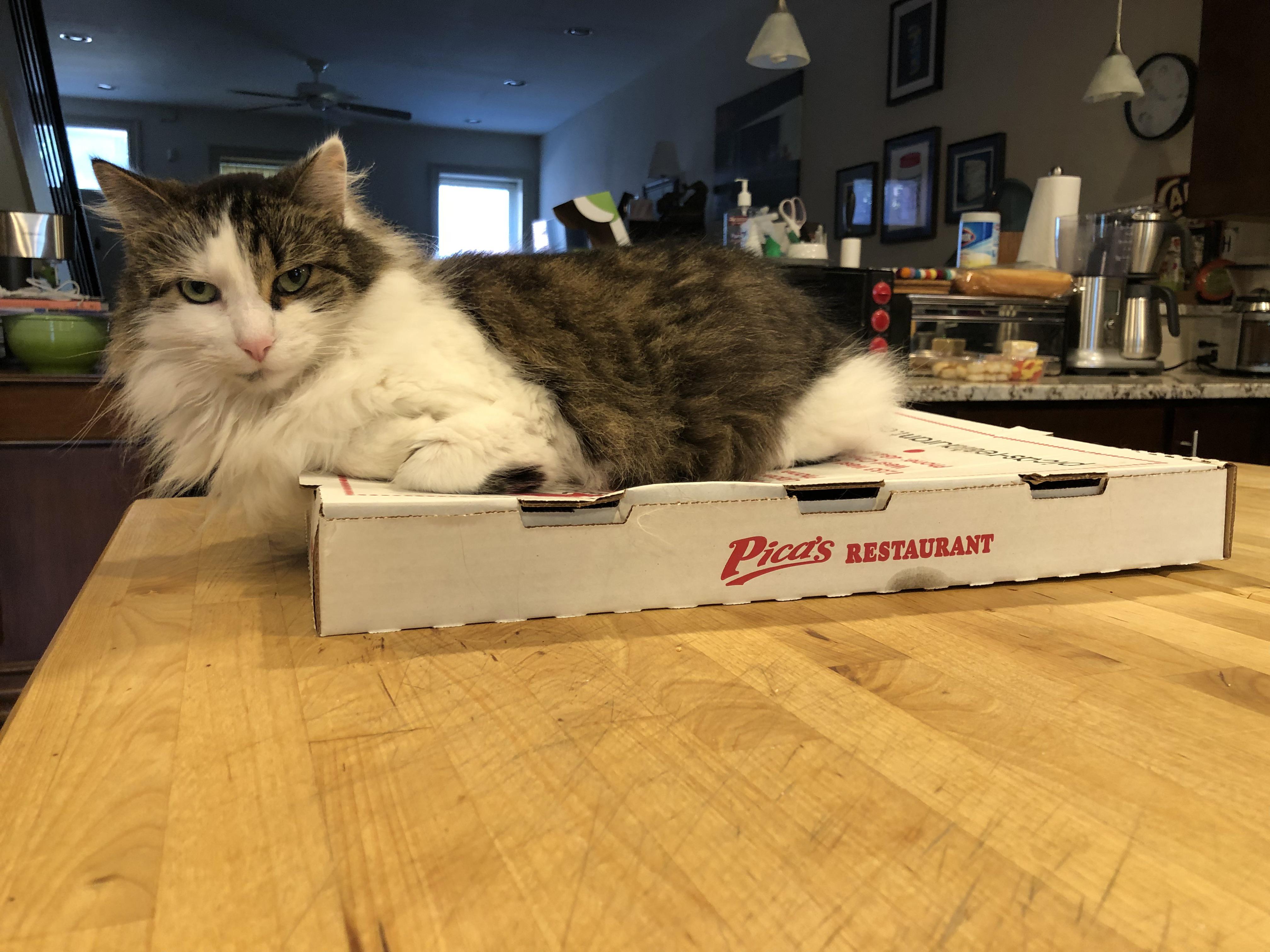 All mine. | Scrolller