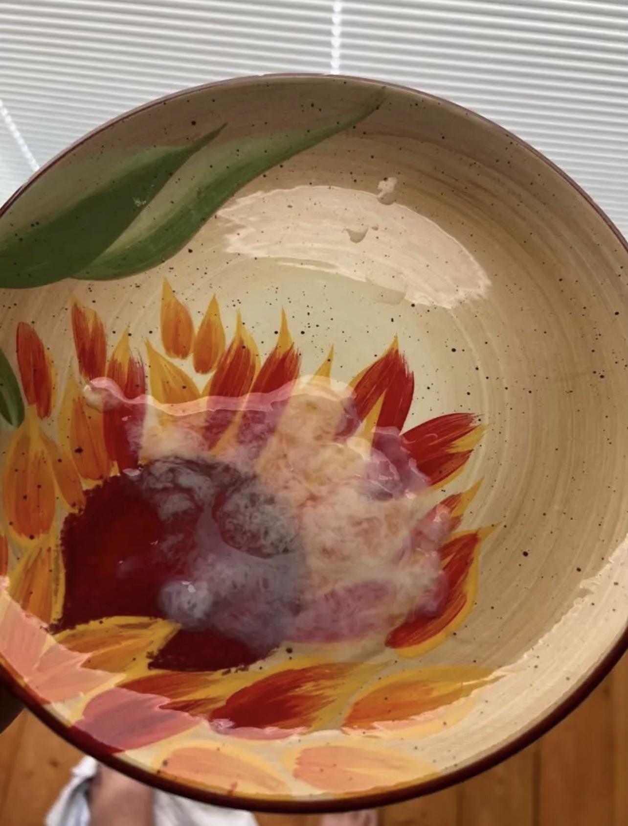 Almost a full dinner plate, 8 day load | Scrolller