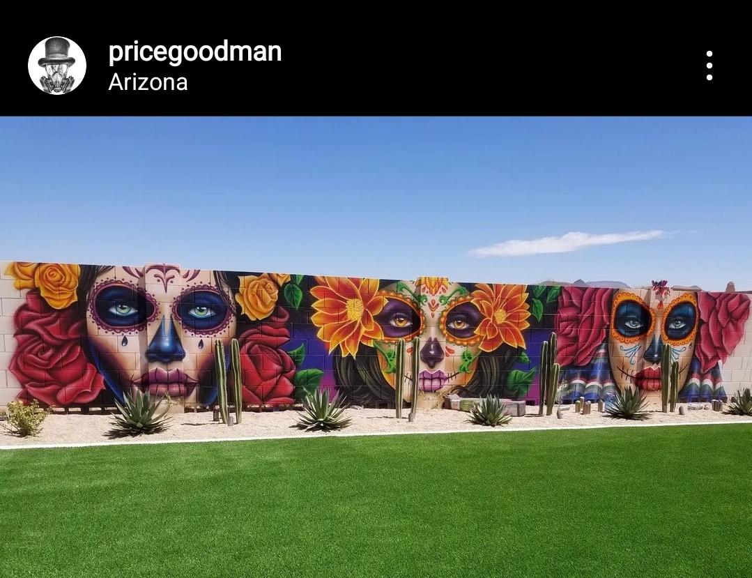 Amazing Mural Art by local artist | Scrolller