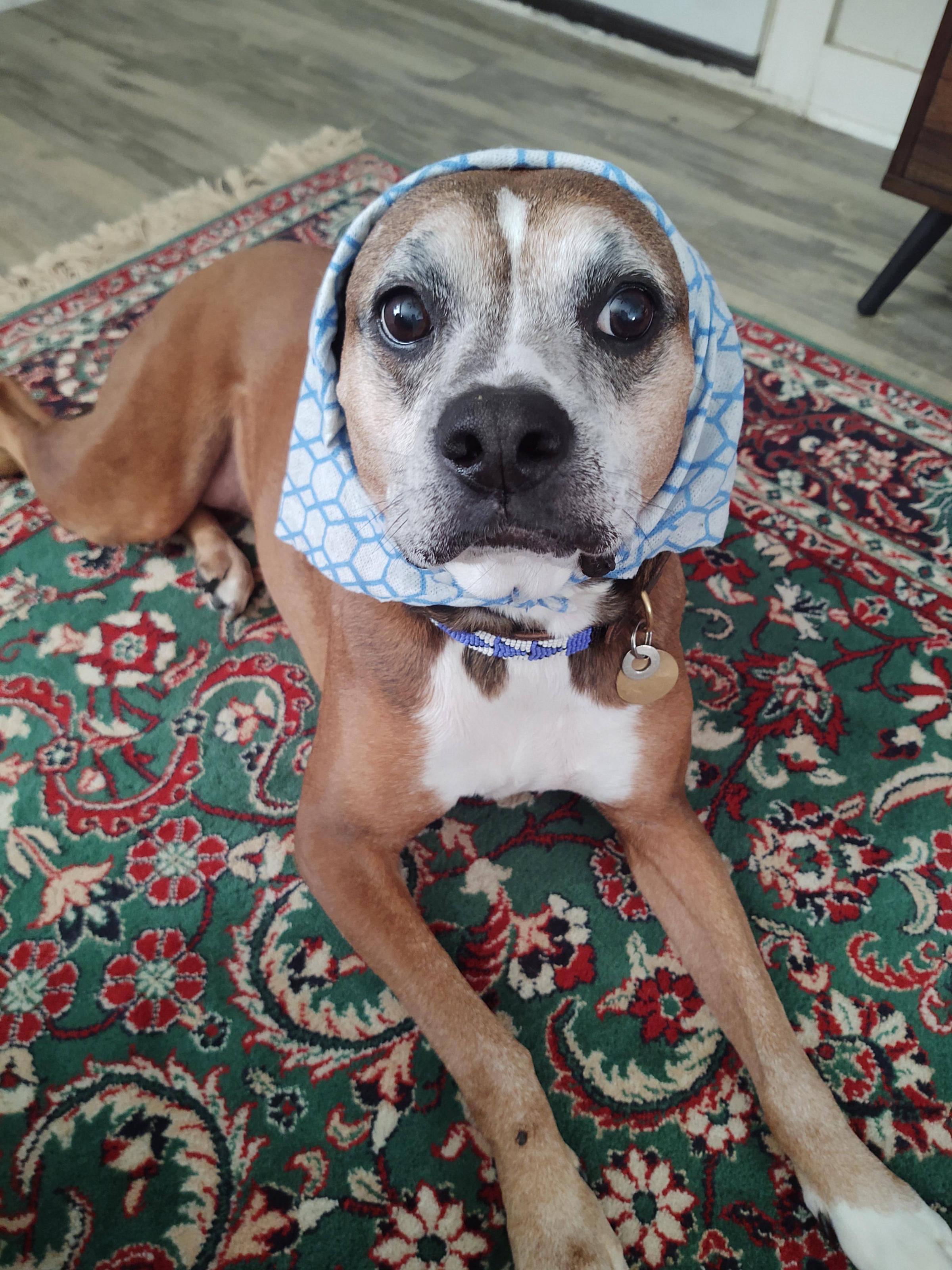 Apprehensive babushka | Scrolller