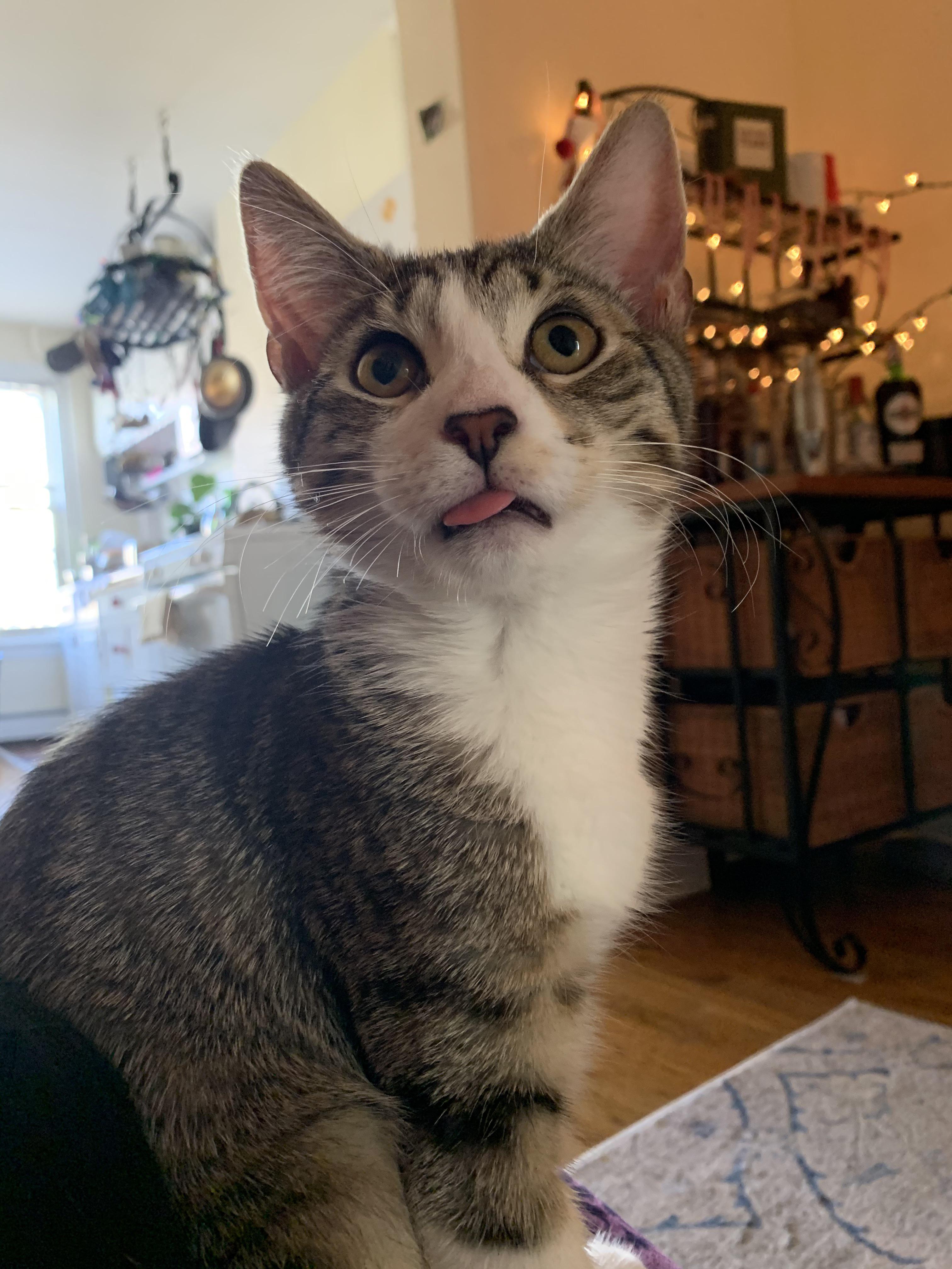 Arthur derpin with his peanuts | Scrolller