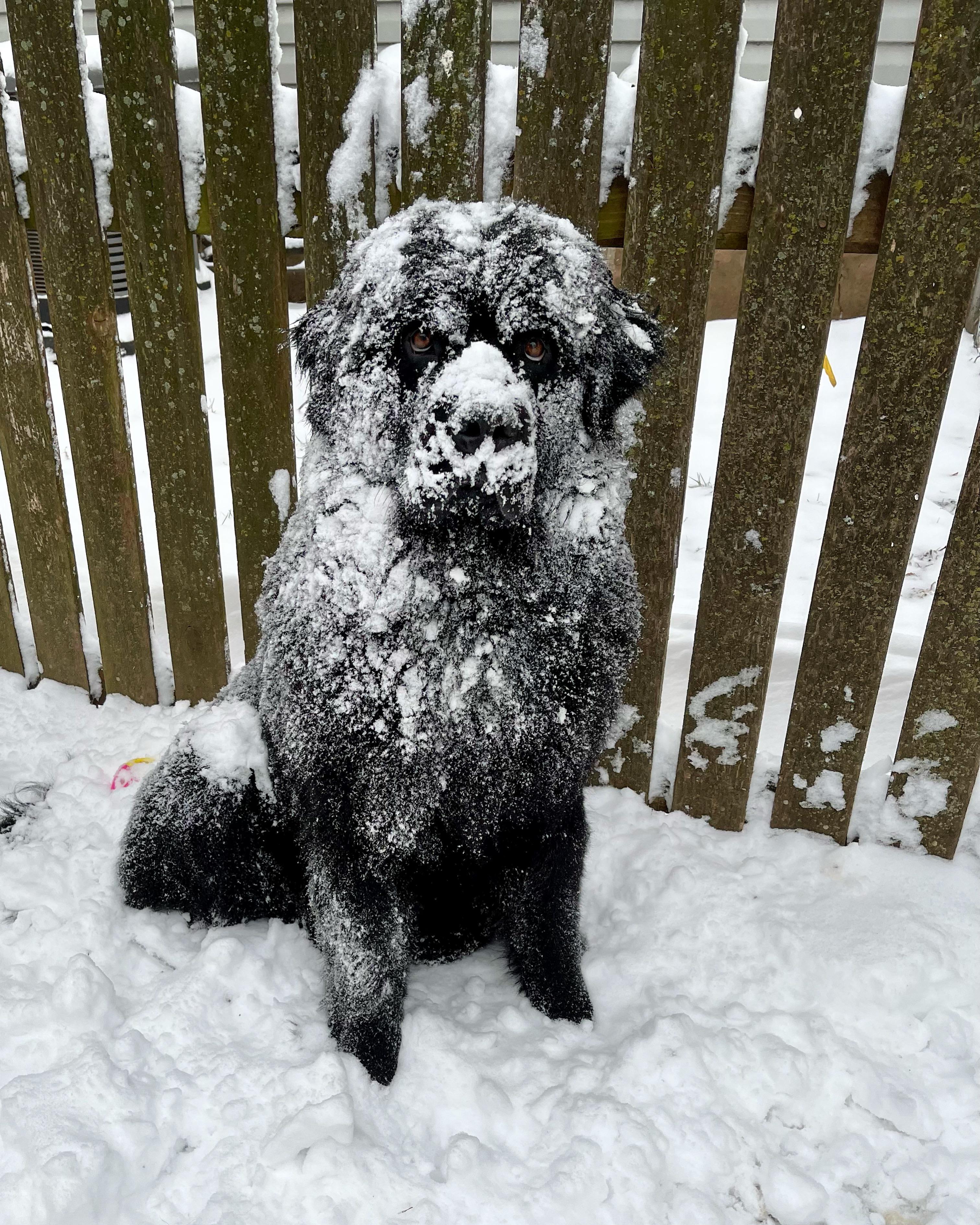 Asha in her Element. | Scrolller