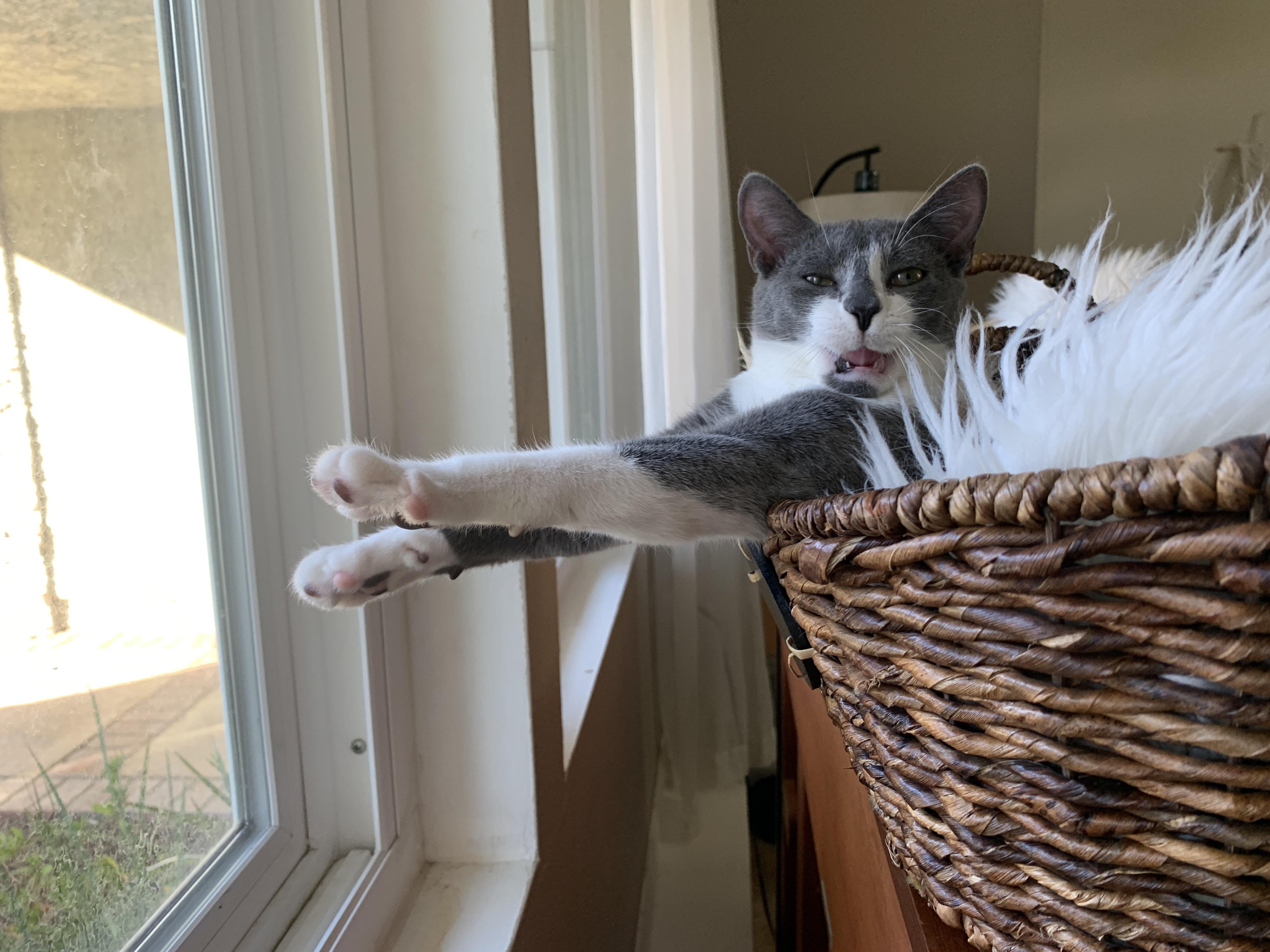 Awkward... | Scrolller