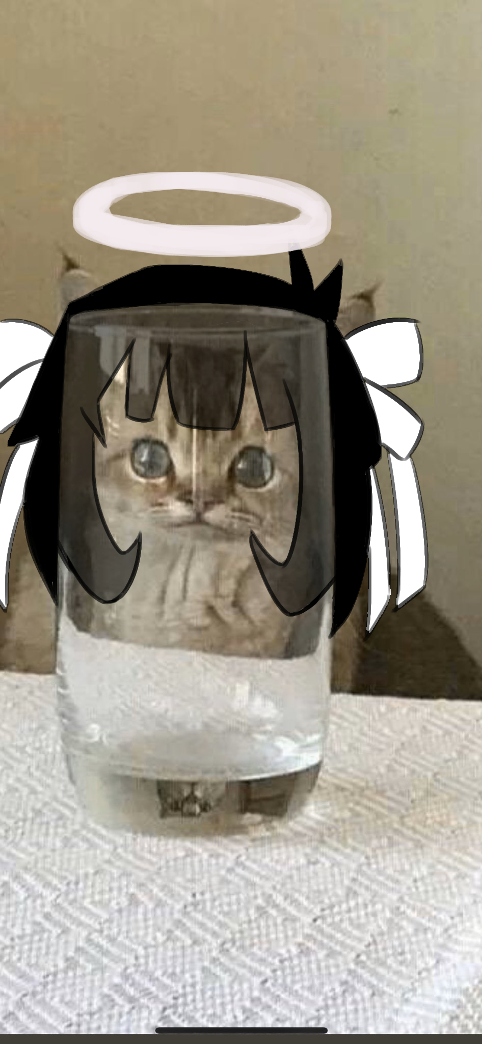 Azazel Cat Azazel Cat | Scrolller