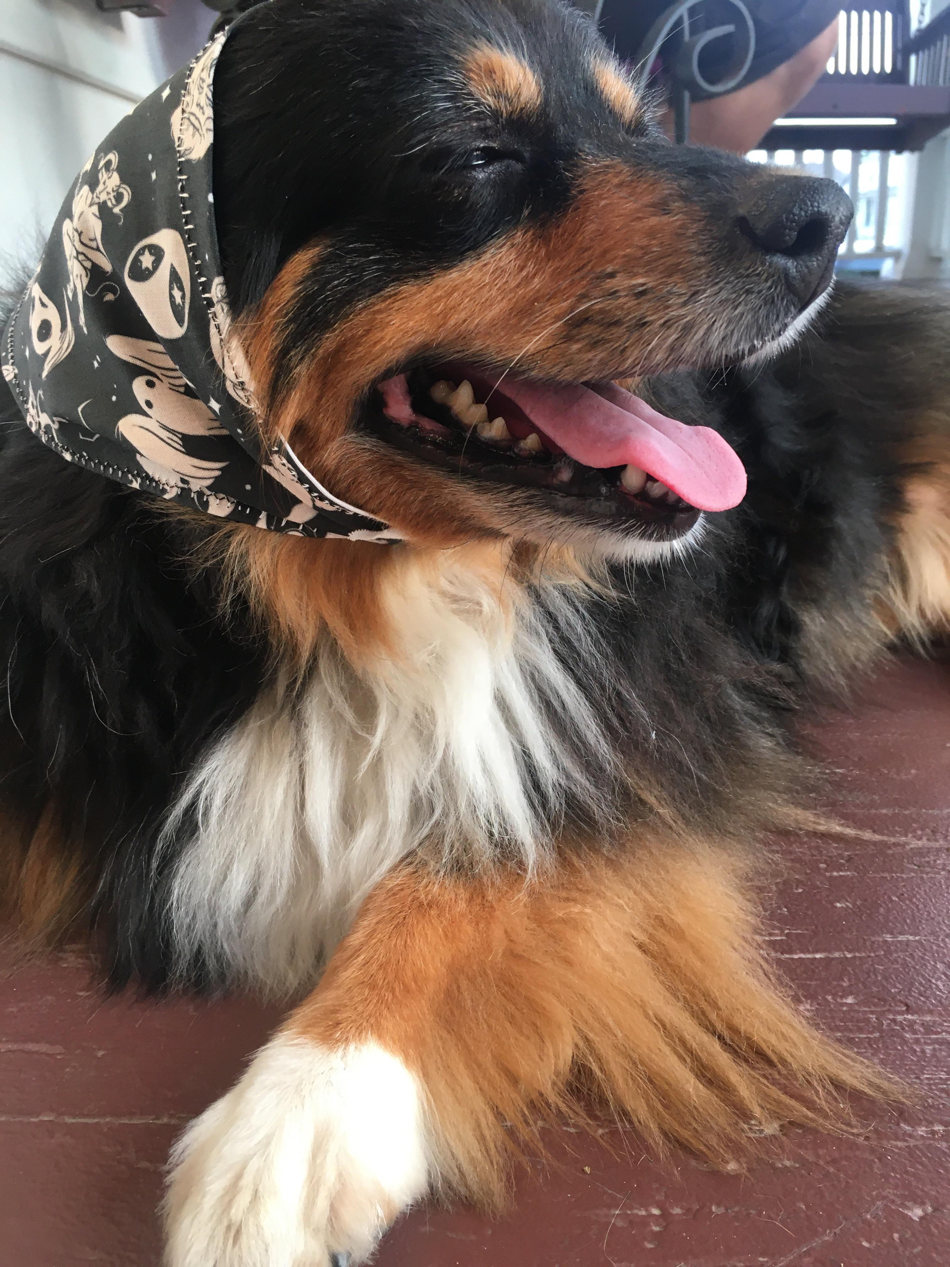 Babushka dreaming of the old days | Scrolller