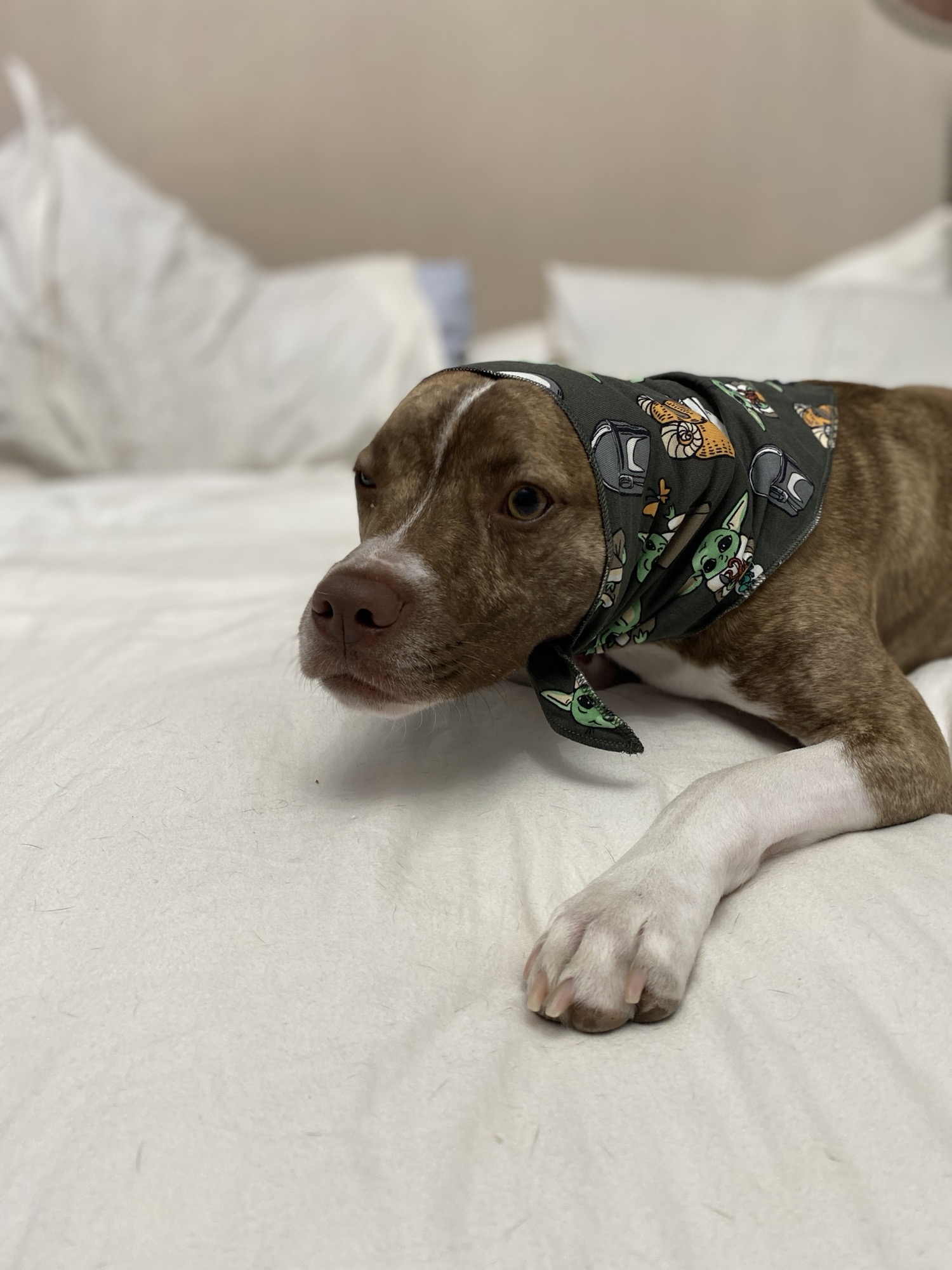 Babushka from a galaxy far far away | Scrolller