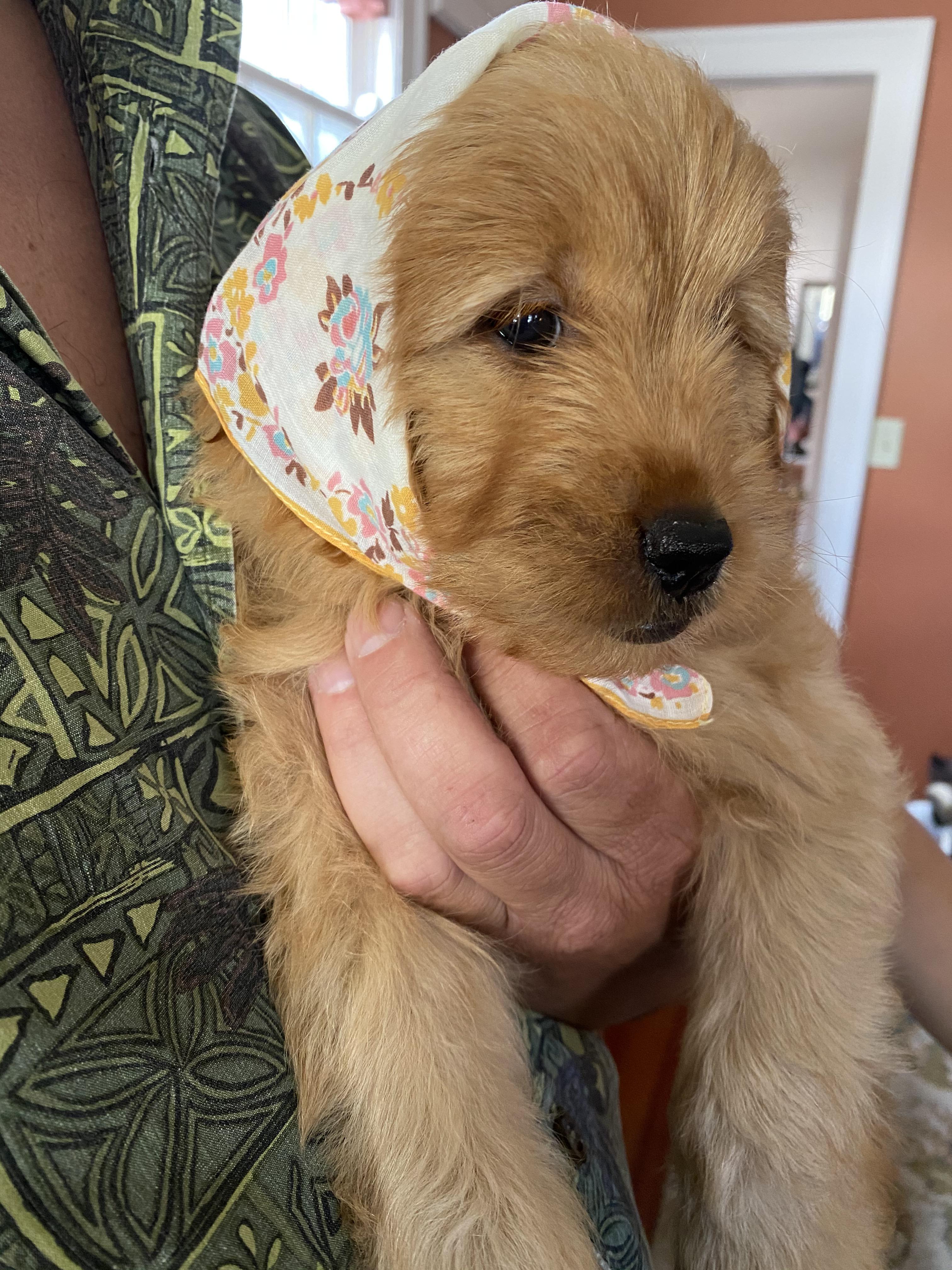 Baby babushka! | Scrolller