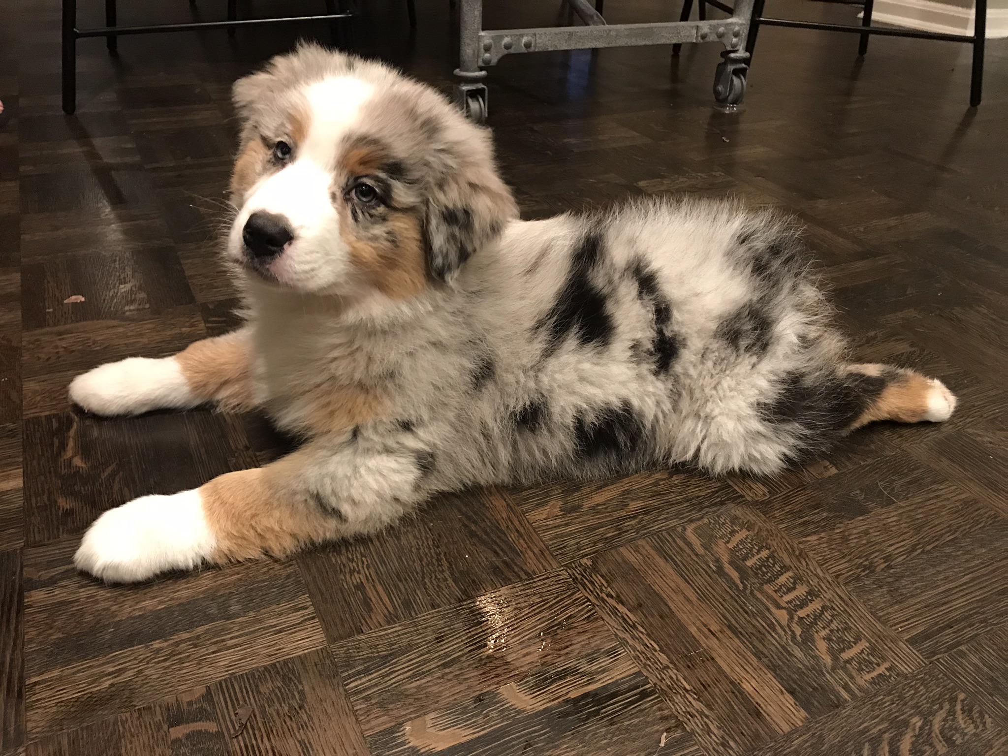 Baby Beans | Scrolller