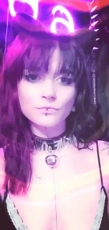 bad kitty (; | Scrolller