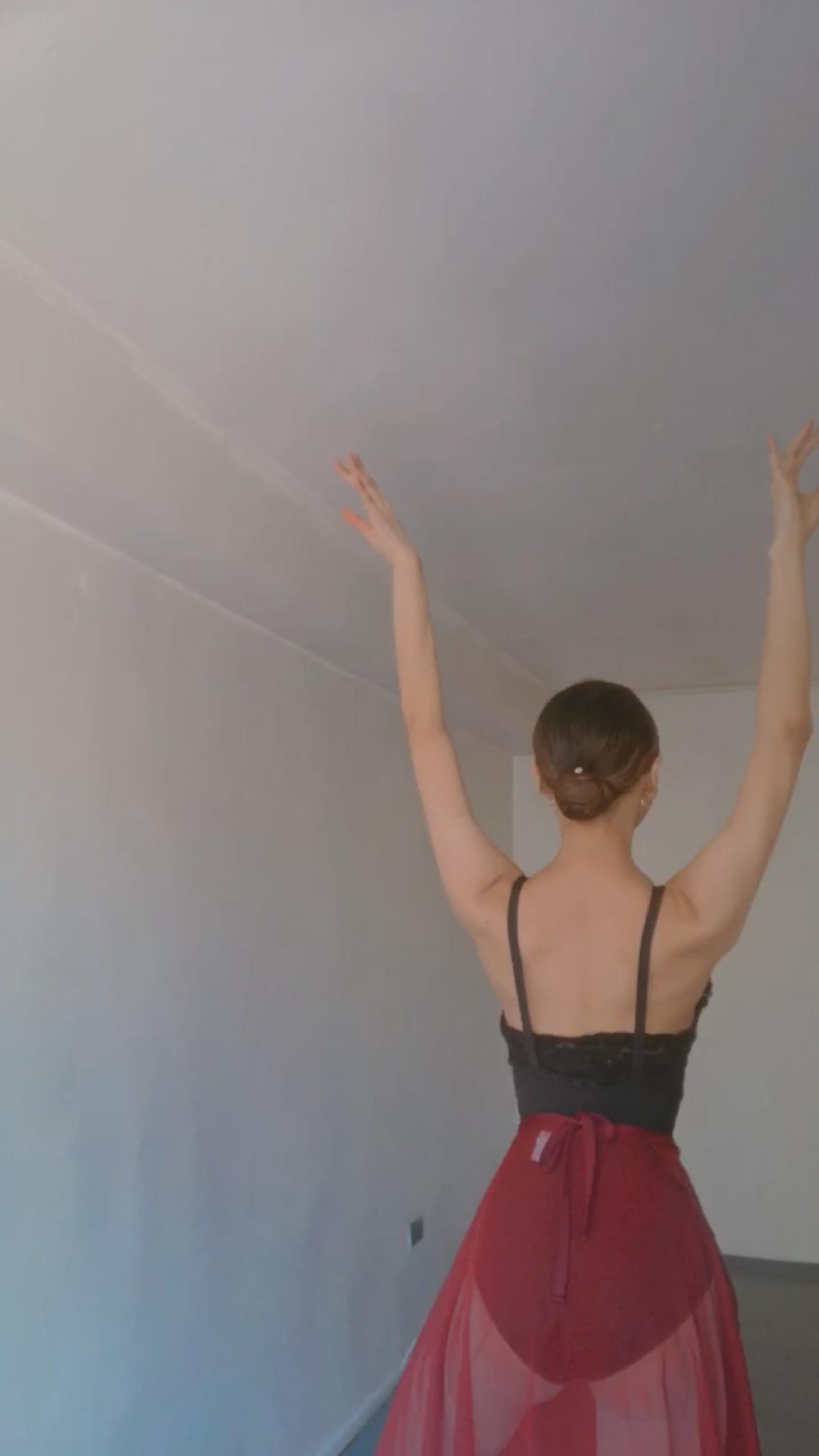 Ballet arms [f20] | Scrolller